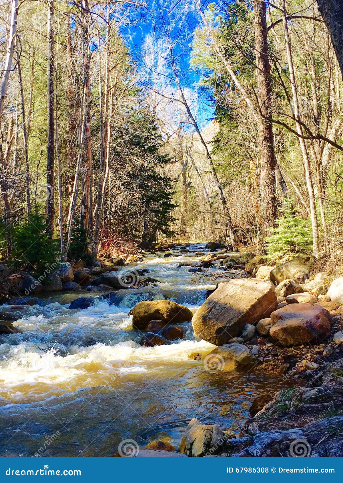 Rushing stream stock photo. Image of forest, arizona - 67986308