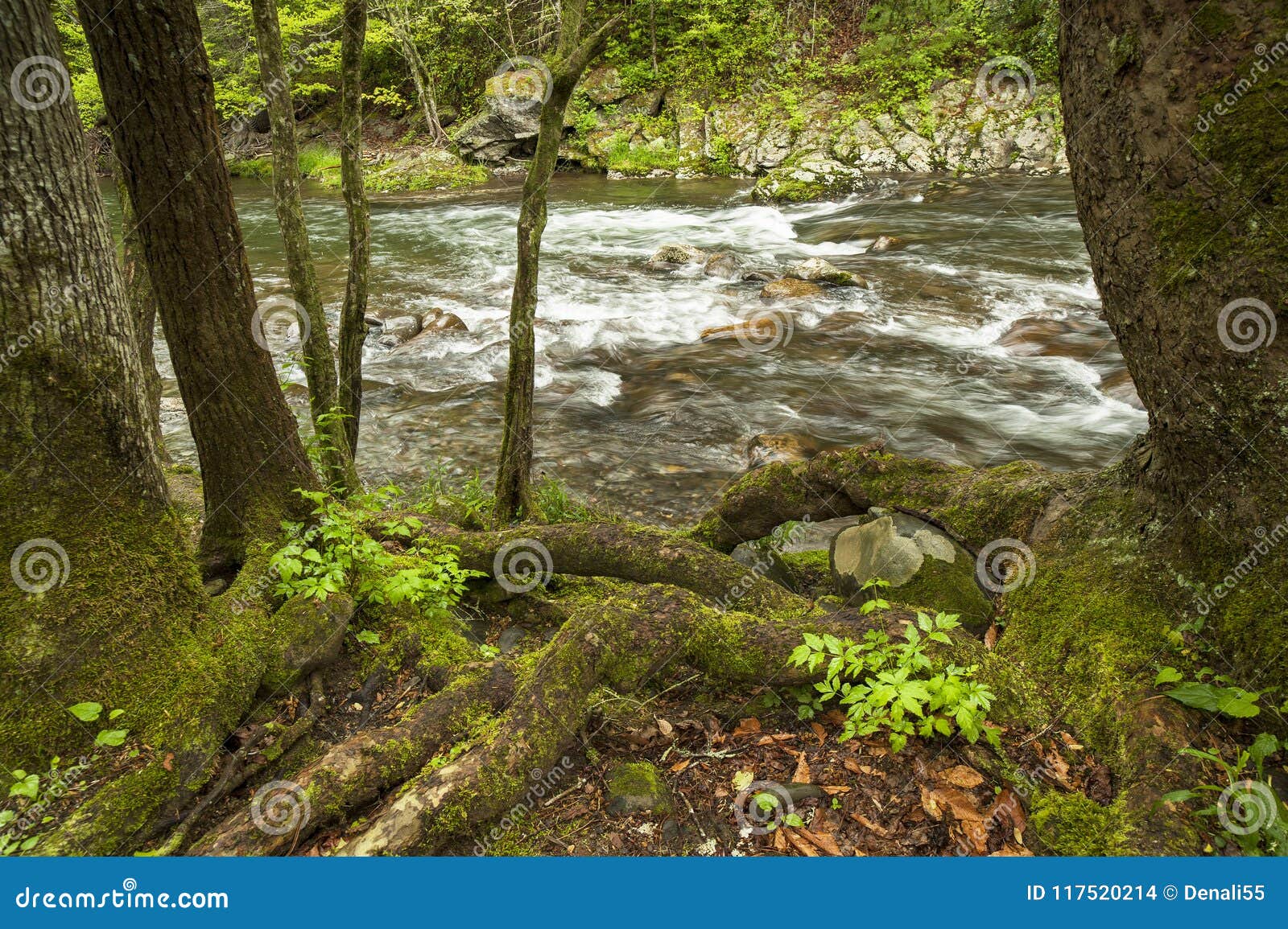 Rushing Stream in Springtime. Stock Photo - Image of season, boulders ...