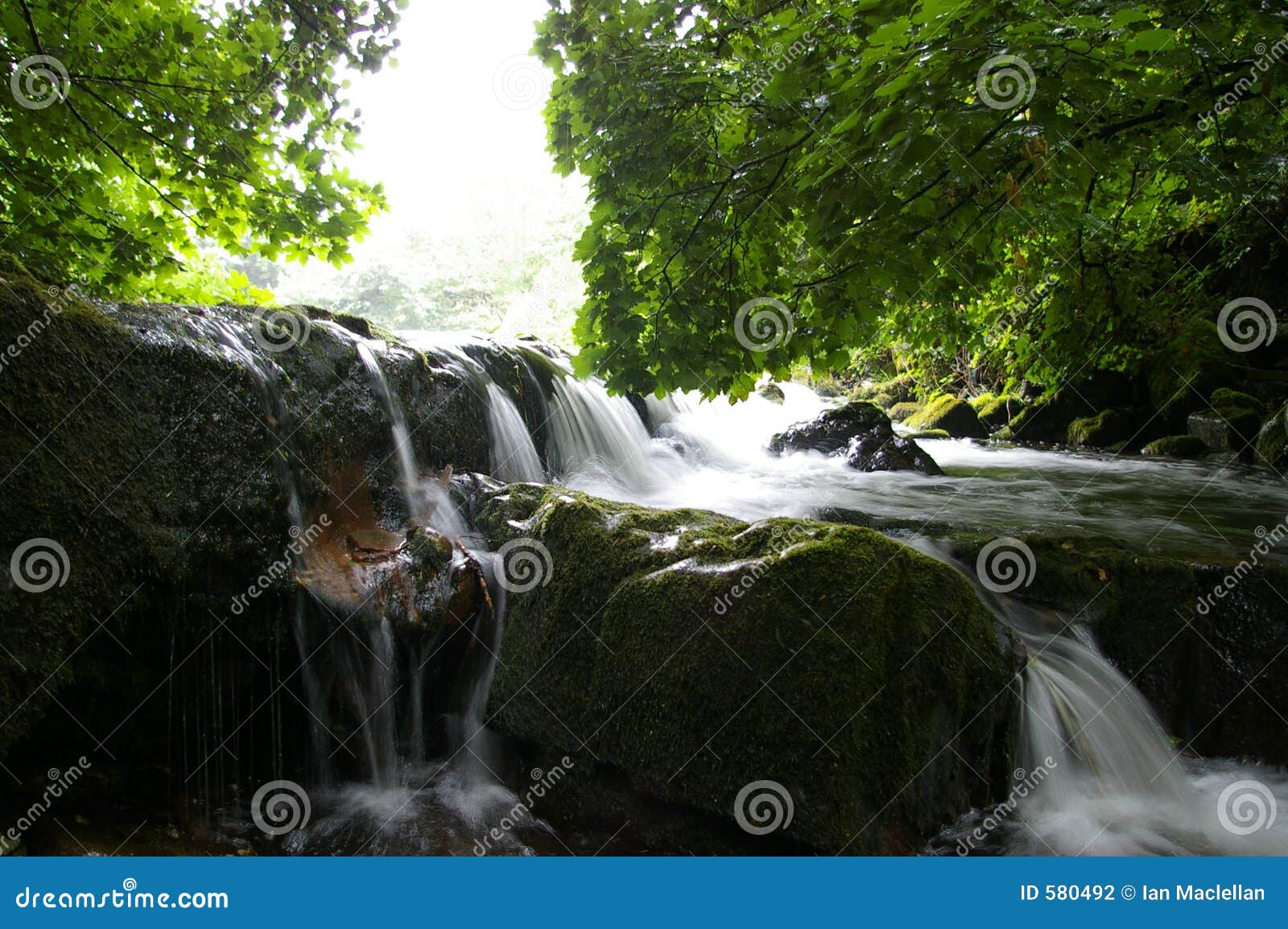 Rushing water stock photo. Image of foam, blur, rock, rushing - 580492