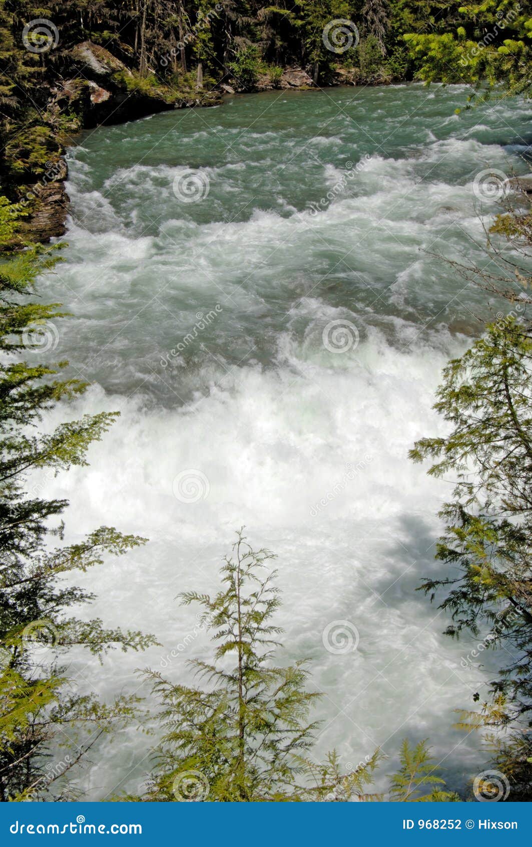 Rushing Water stock photo. Image of evergreens, fast, glacier - 968252