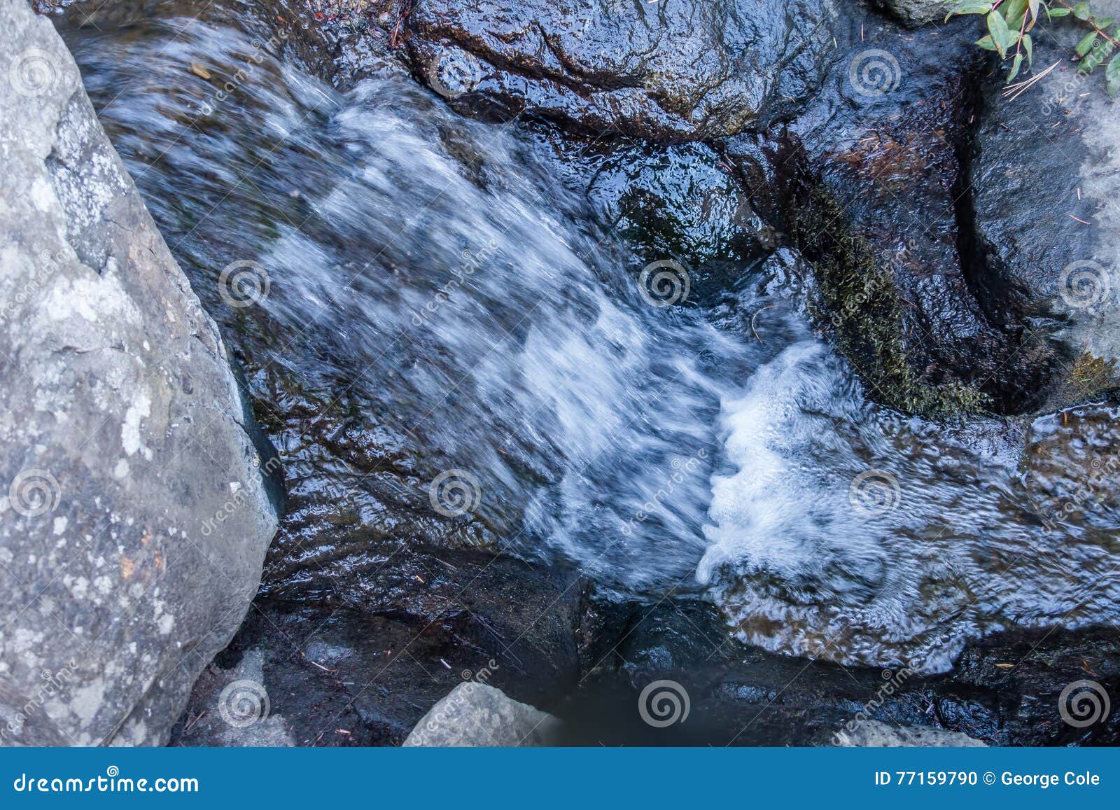 Rushing Water Closeup 2 stock photo. Image of nature - 77159790