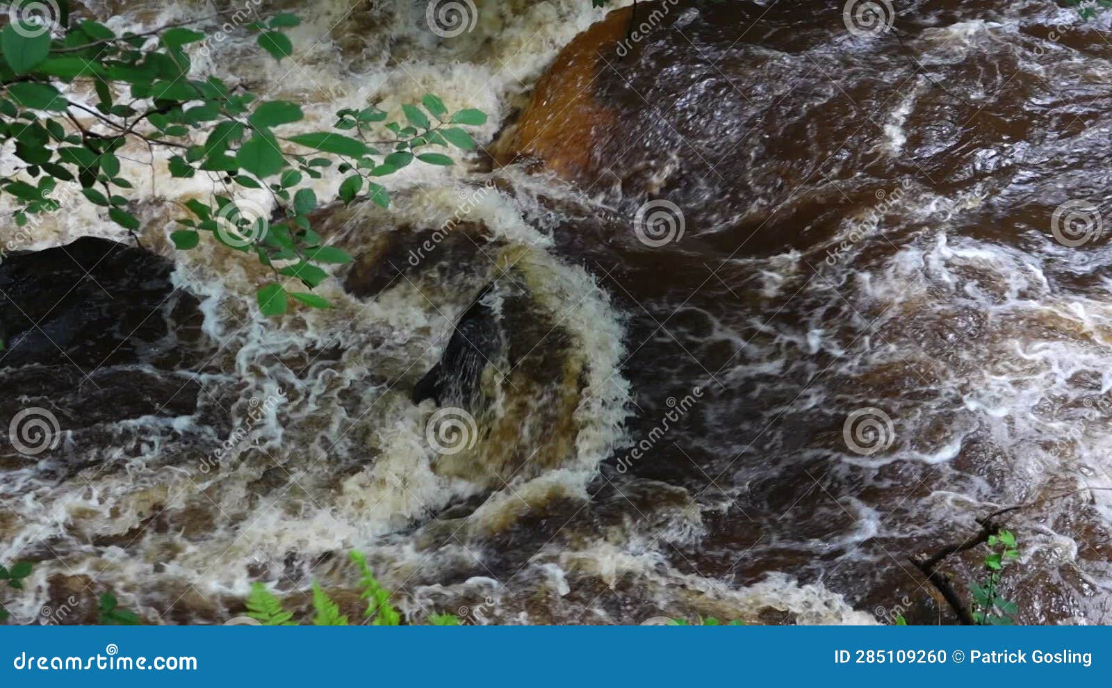 Rushing Water after Heavy Rain. Stock Footage - Video of flood, gushing ...