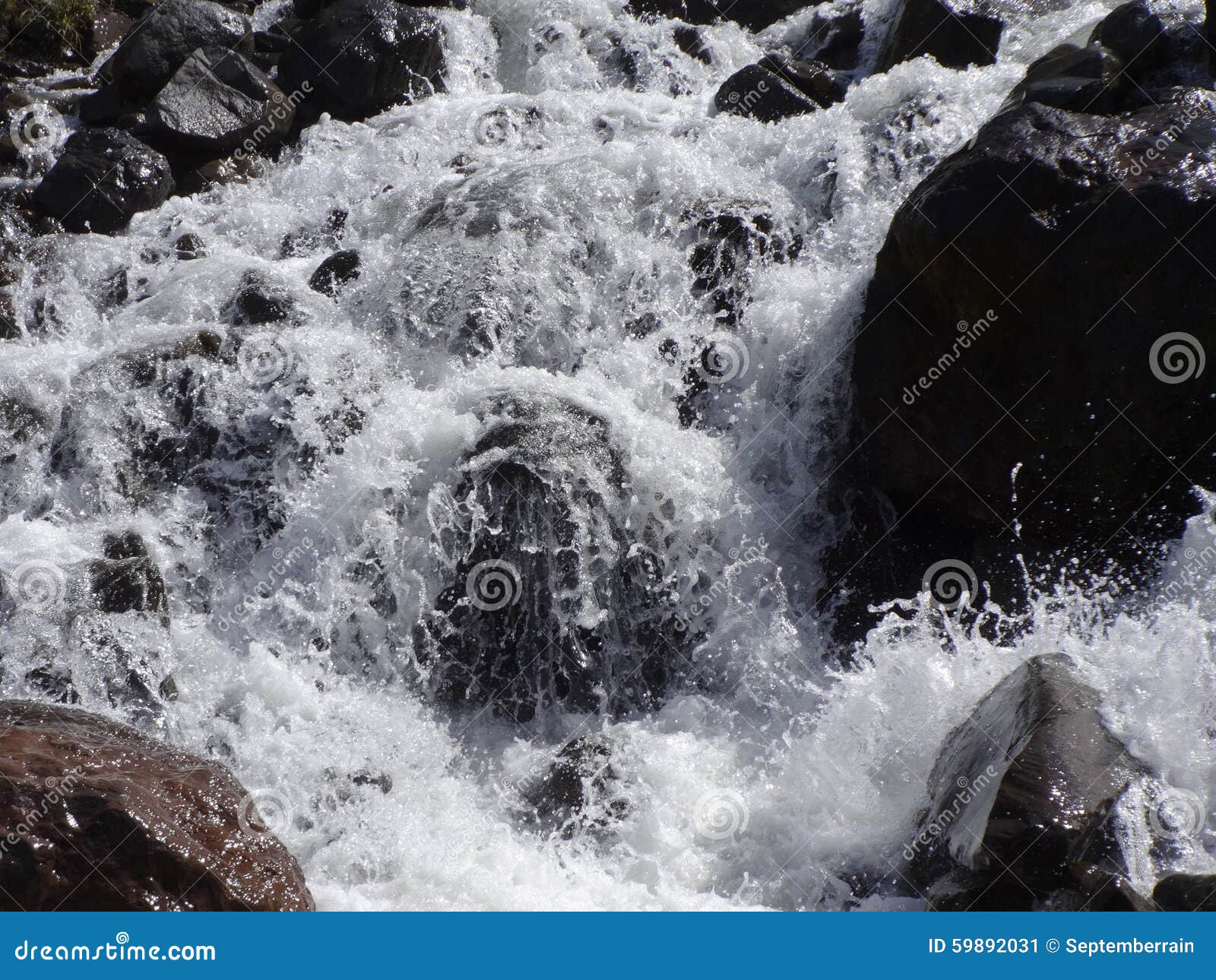 Rushing water stock image. Image of forest, park, field - 59892031