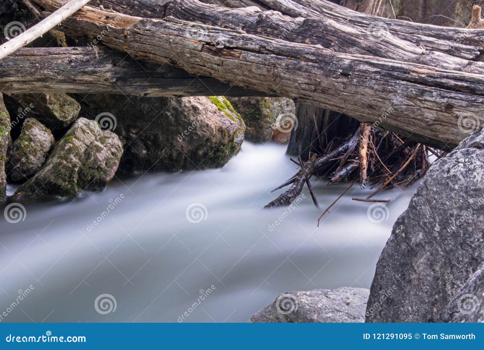 Water Flowing Under the Log Bridge Stock Image - Image of pine, flowing ...