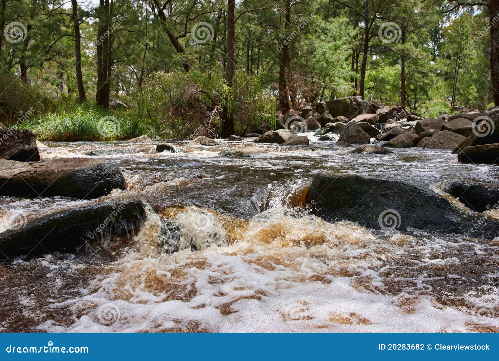 Rushing water in river stock photo. Image of australia - 20283682