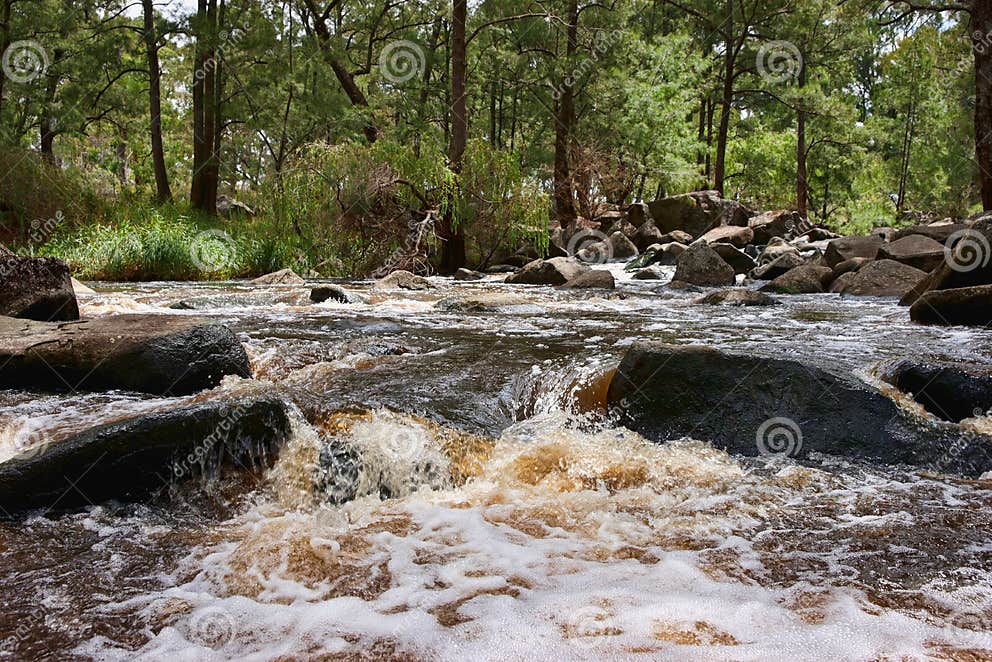 Rushing water in river stock photo. Image of australia - 20283682