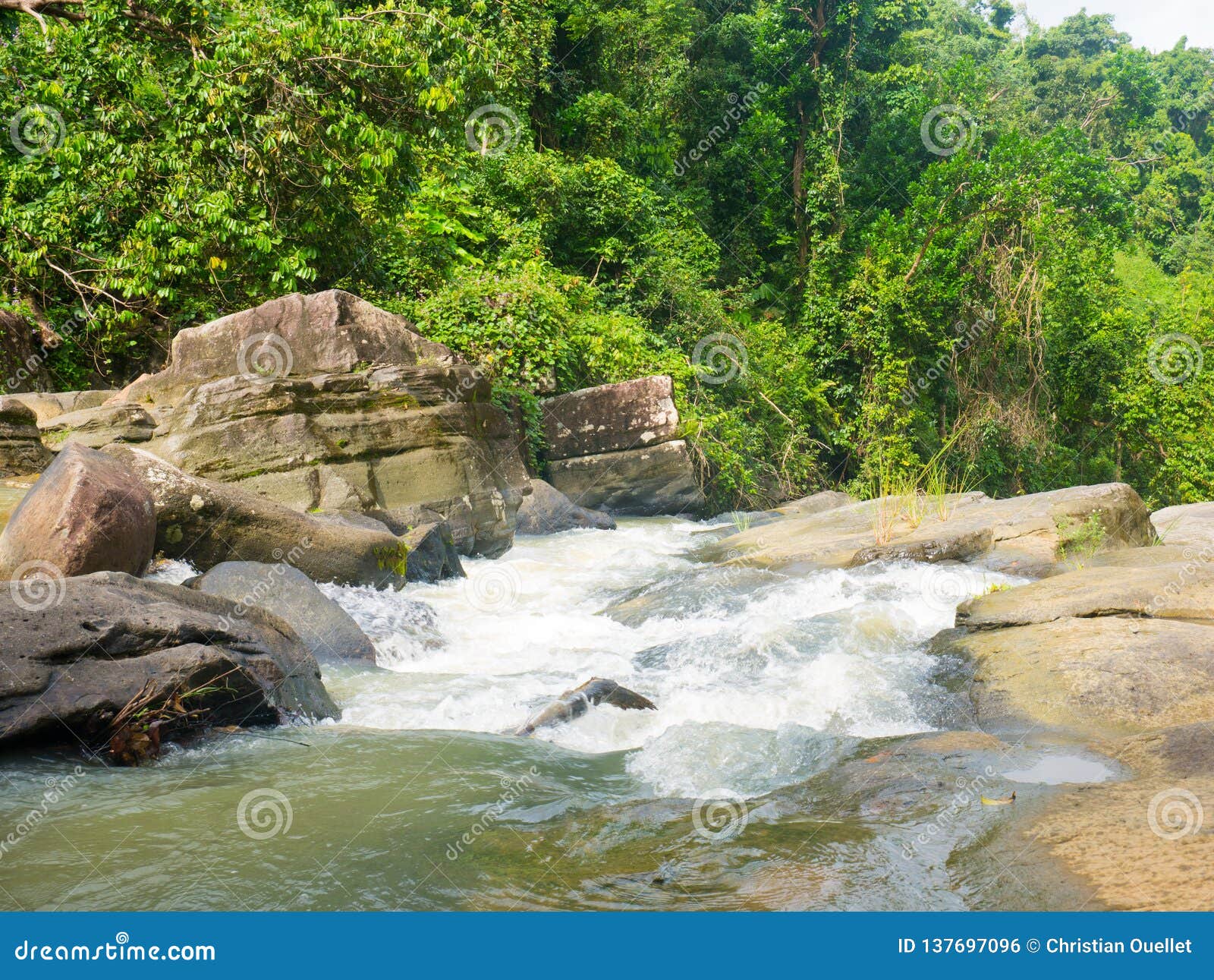 Rushing Water And River In El Yunque National Forest Stock Photo ...