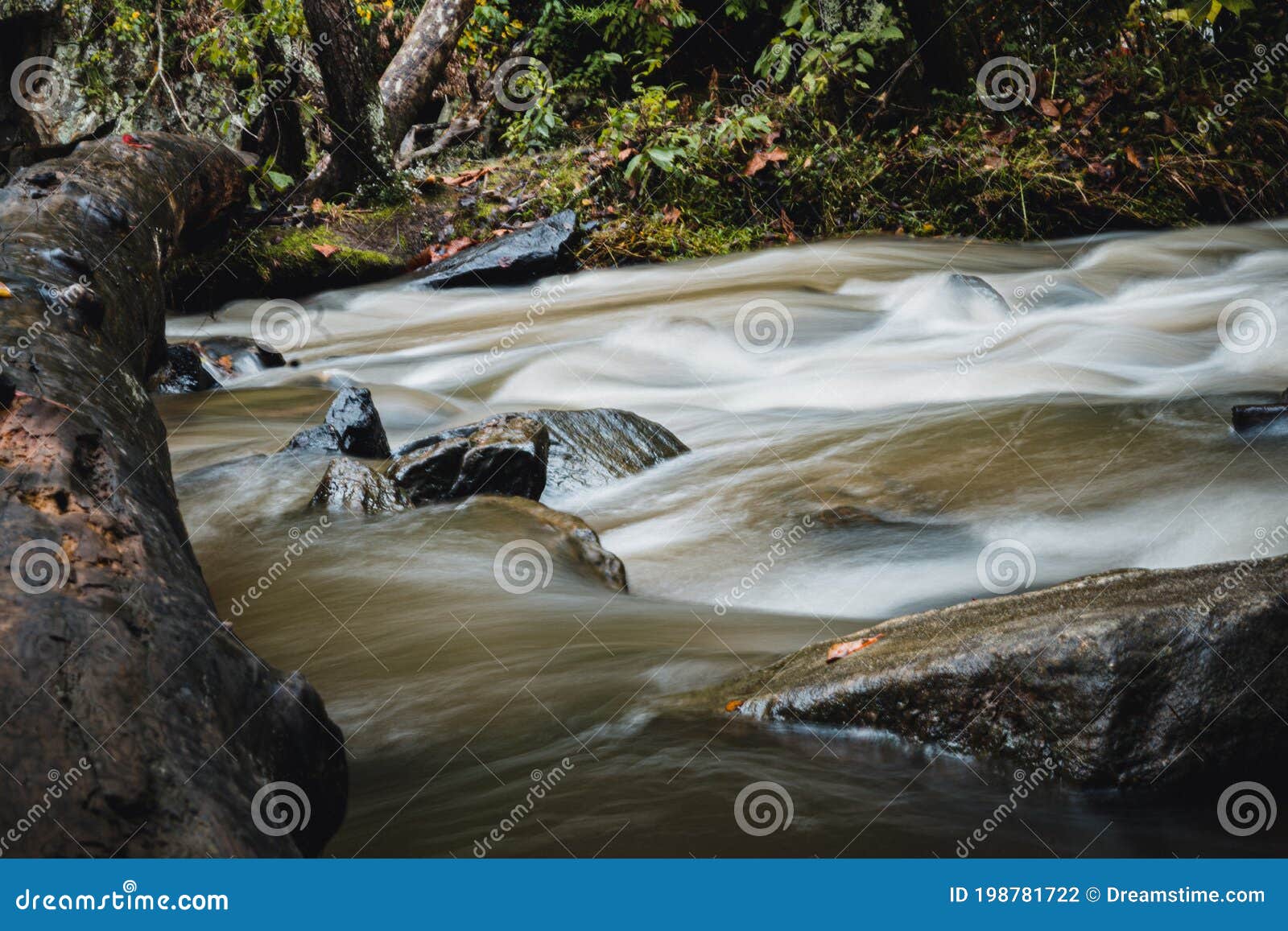 Rushing water in a river stock photo. Image of power - 198781722