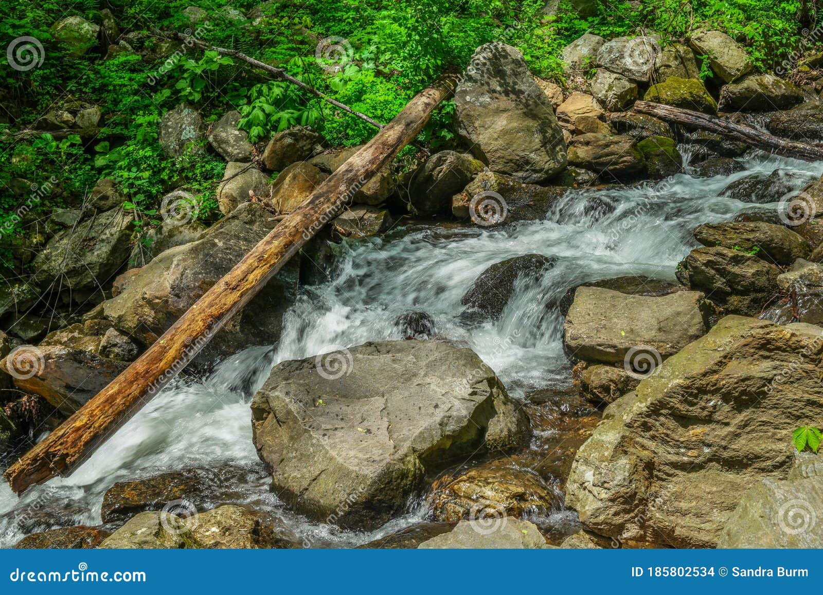 Rushing Water through the Rocks Stock Photo - Image of bright, rushing ...