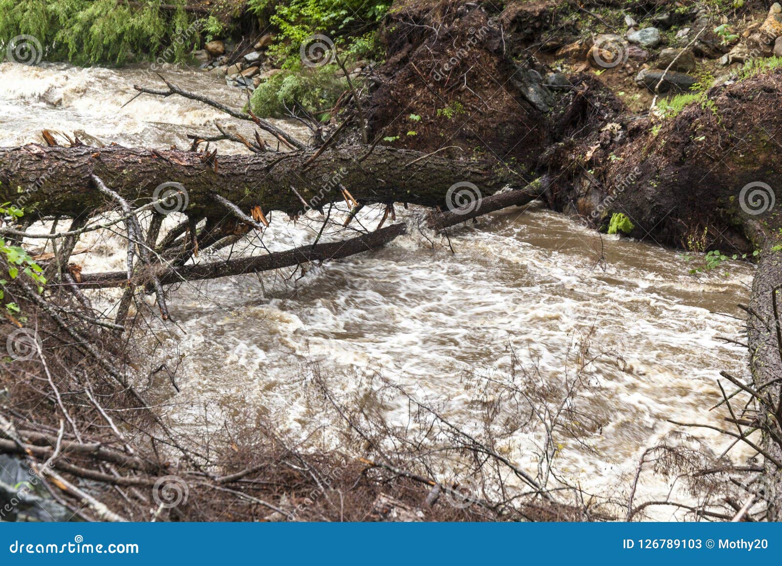 Rushing Water from Severe Flash Flood in Stream Stock Image - Image of ...