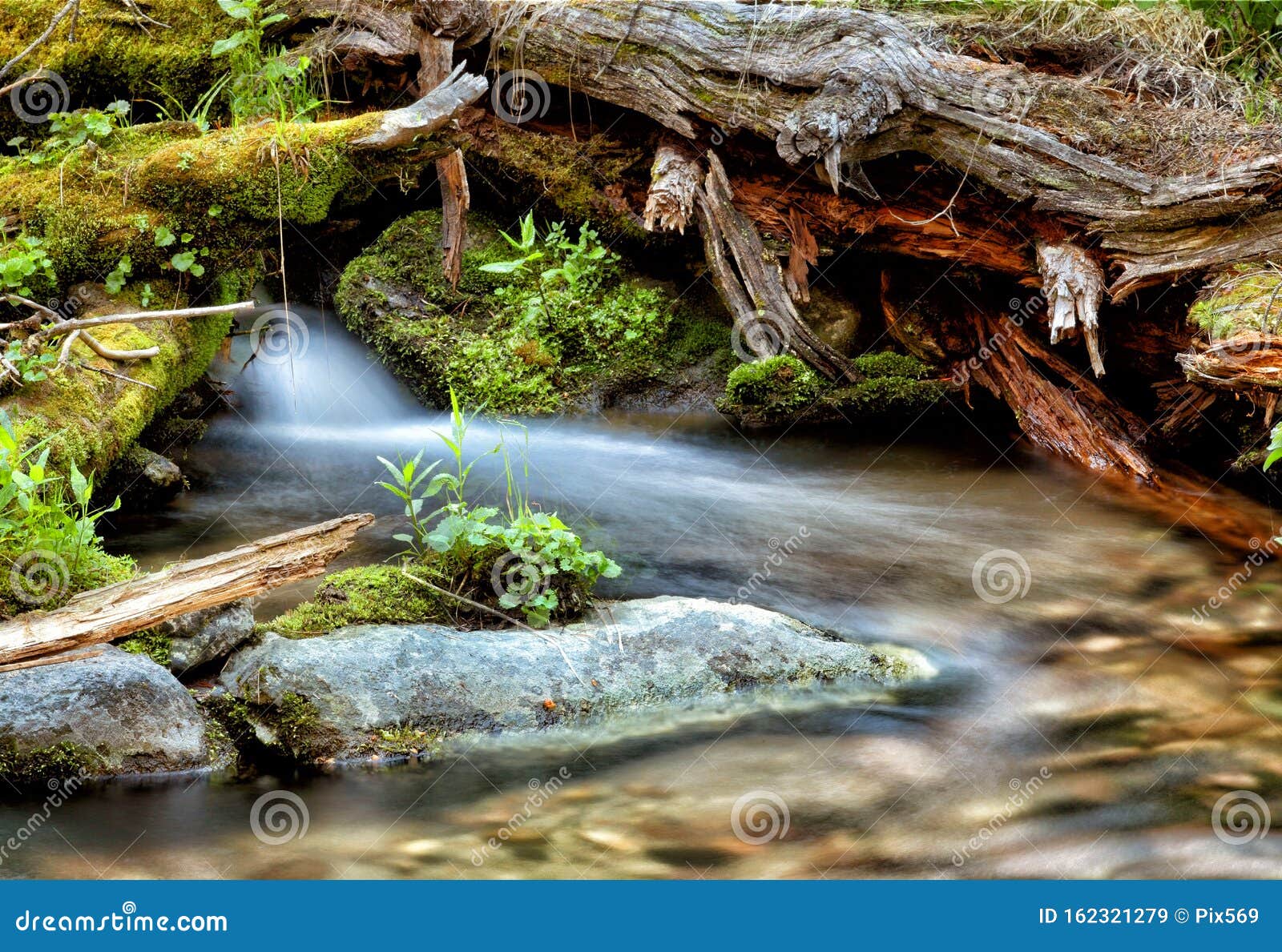 Rushing Water in a Mountain Stream. Stock Image - Image of liquid ...