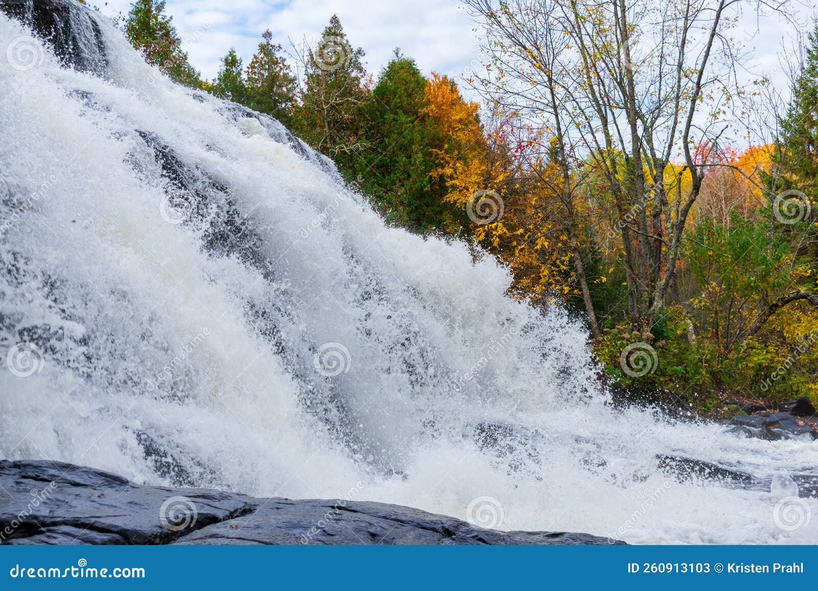 Rushing Waterfall In Jungle Stock Photo | CartoonDealer.com #103151388
