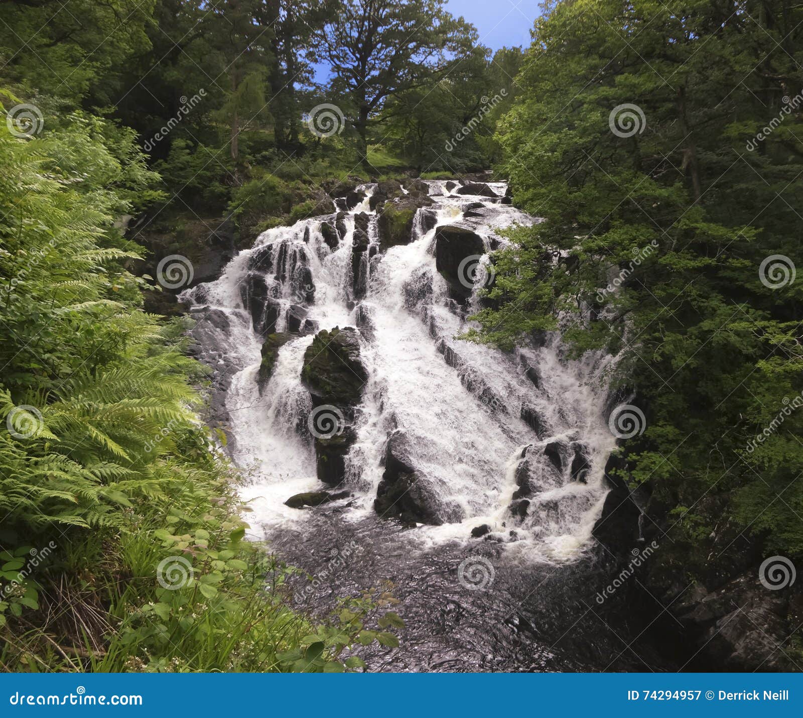 A Rushing Waterfall in a Green Forest Stock Image - Image of waterfall ...