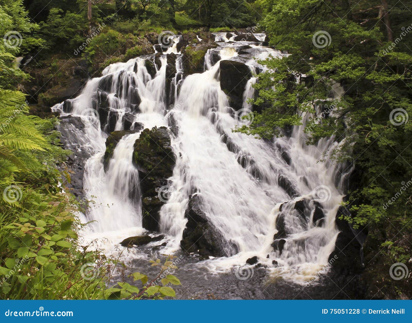 A Rushing Waterfall in a Green Forest Stock Photo - Image of ferns ...