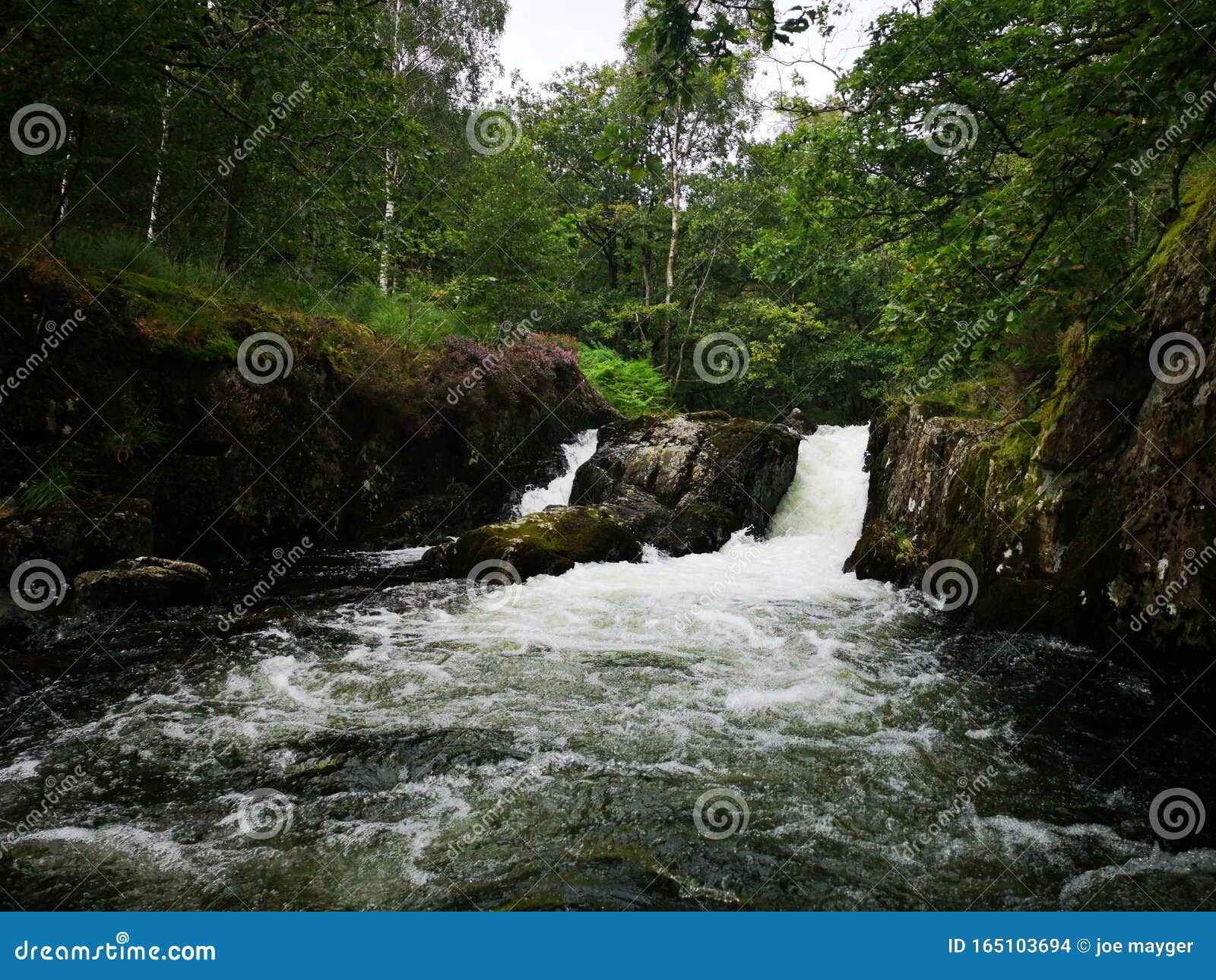Rushing Waterfall with Lots of Greenery Stock Photo - Image of rushing ...