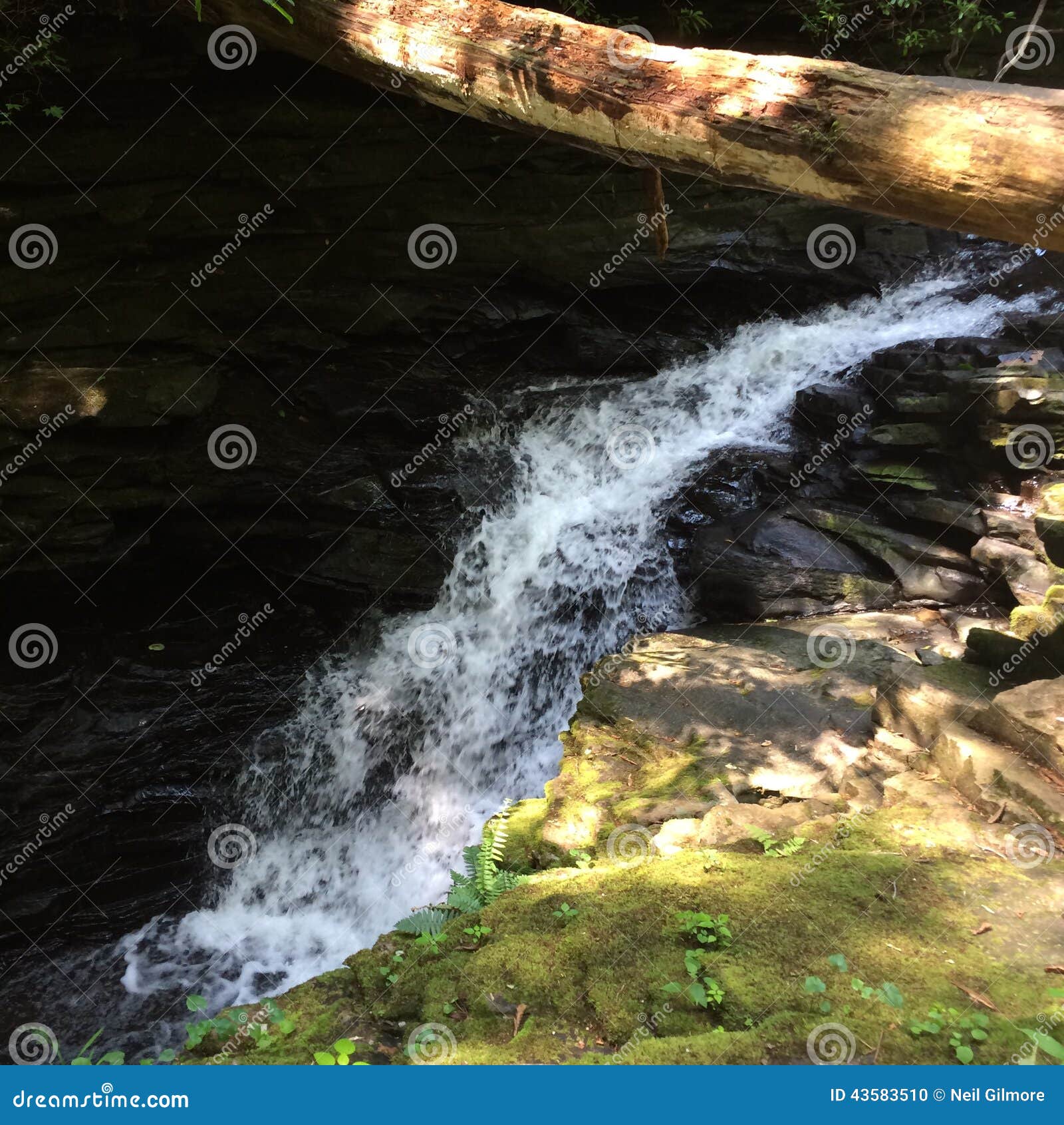 Rushing waterfall editorial image. Image of stream, nature - 43583510