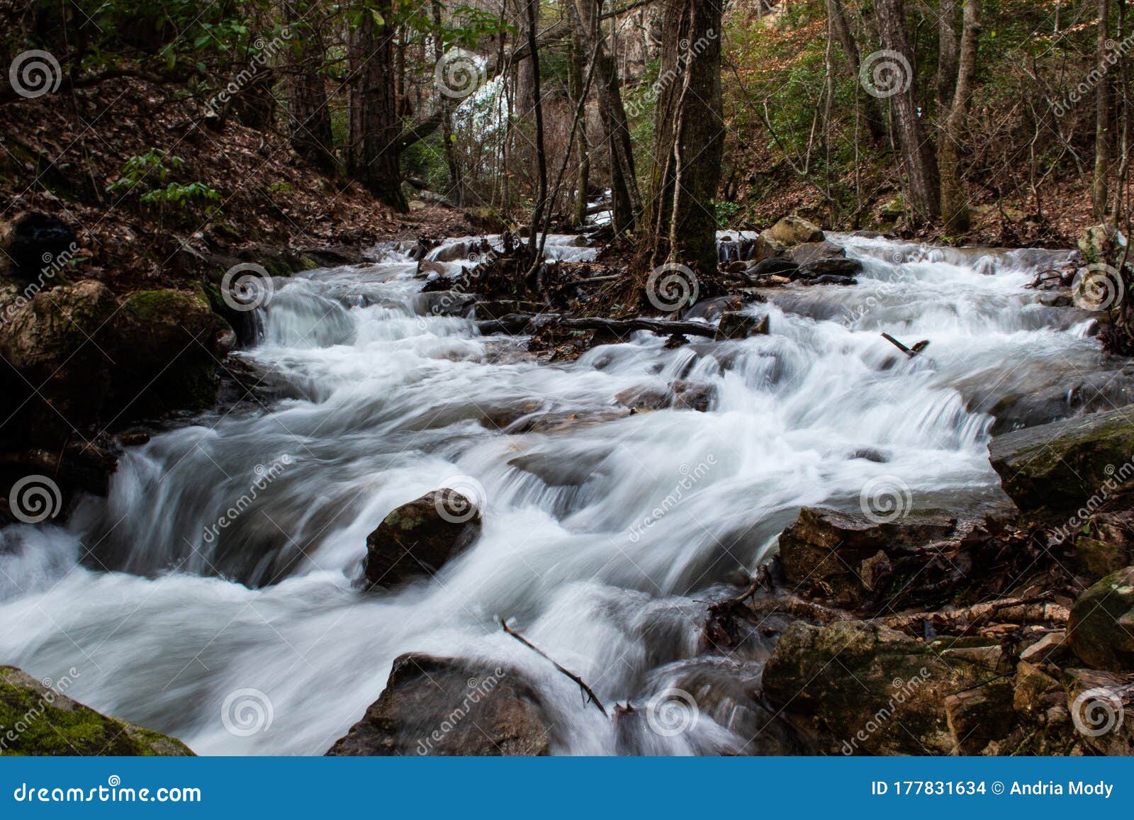 Rushing Waters stock photo. Image of nature, waters - 177831634