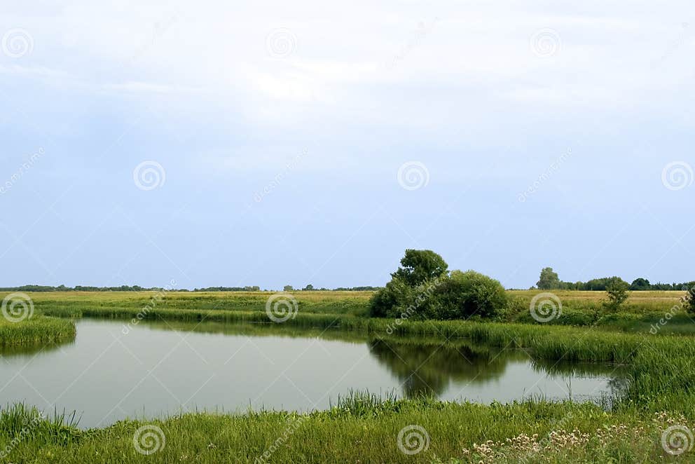 Rushy lake panorama view stock photo. Image of outdoors - 12913594