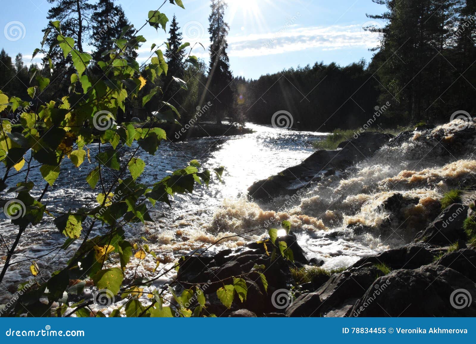 Karilia Photos - Free & Royalty-Free Stock Photos from Dreamstime