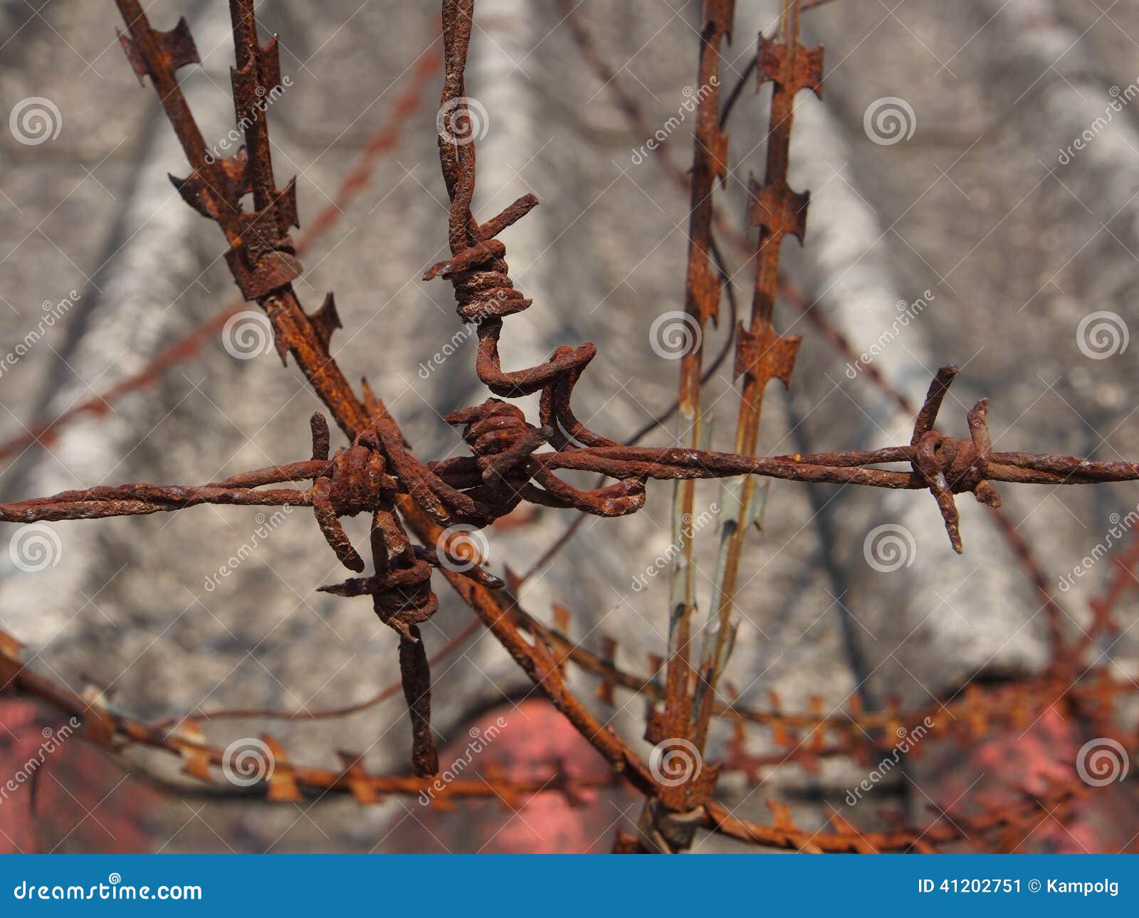 Rusry barbed wire stock image. Image of look, wire, rusty - 41202751
