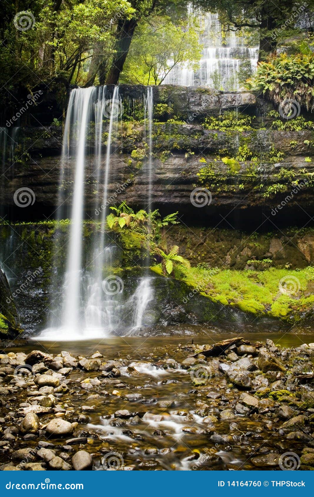 Russell Falls Waterfall Tasmania Stock Photo - Image of creek, pure ...