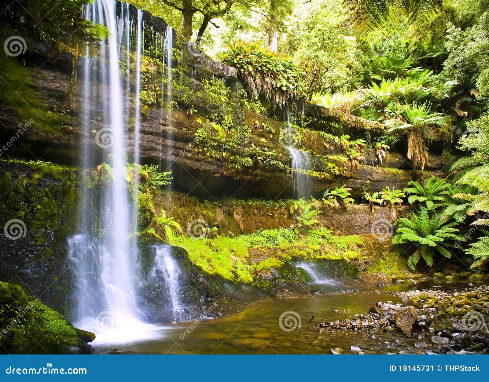 Russell Falls, Tasmania stock image. Image of clean, outdoors - 18145731