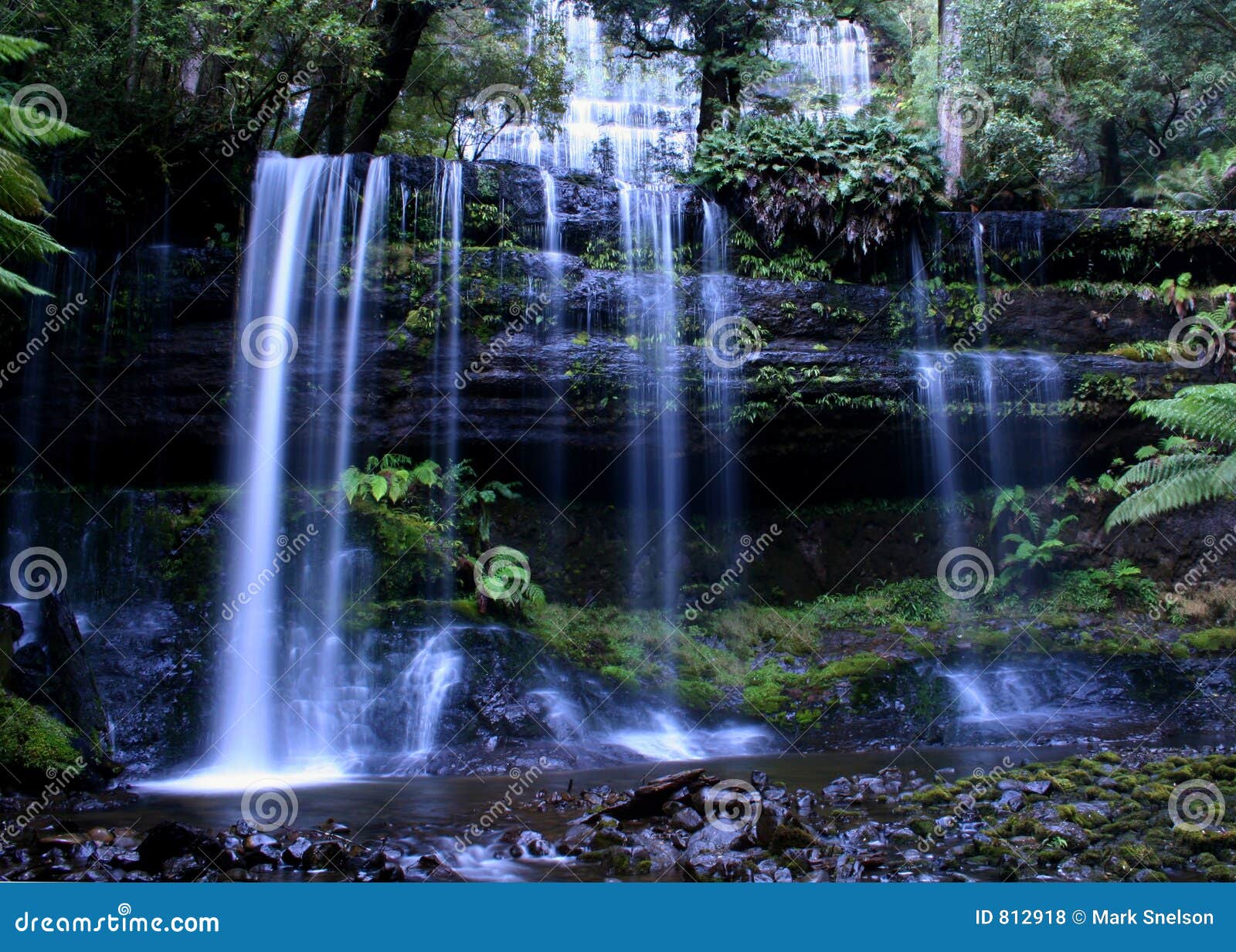 Russell Falls stock photo. Image of mount, national, forest - 812918