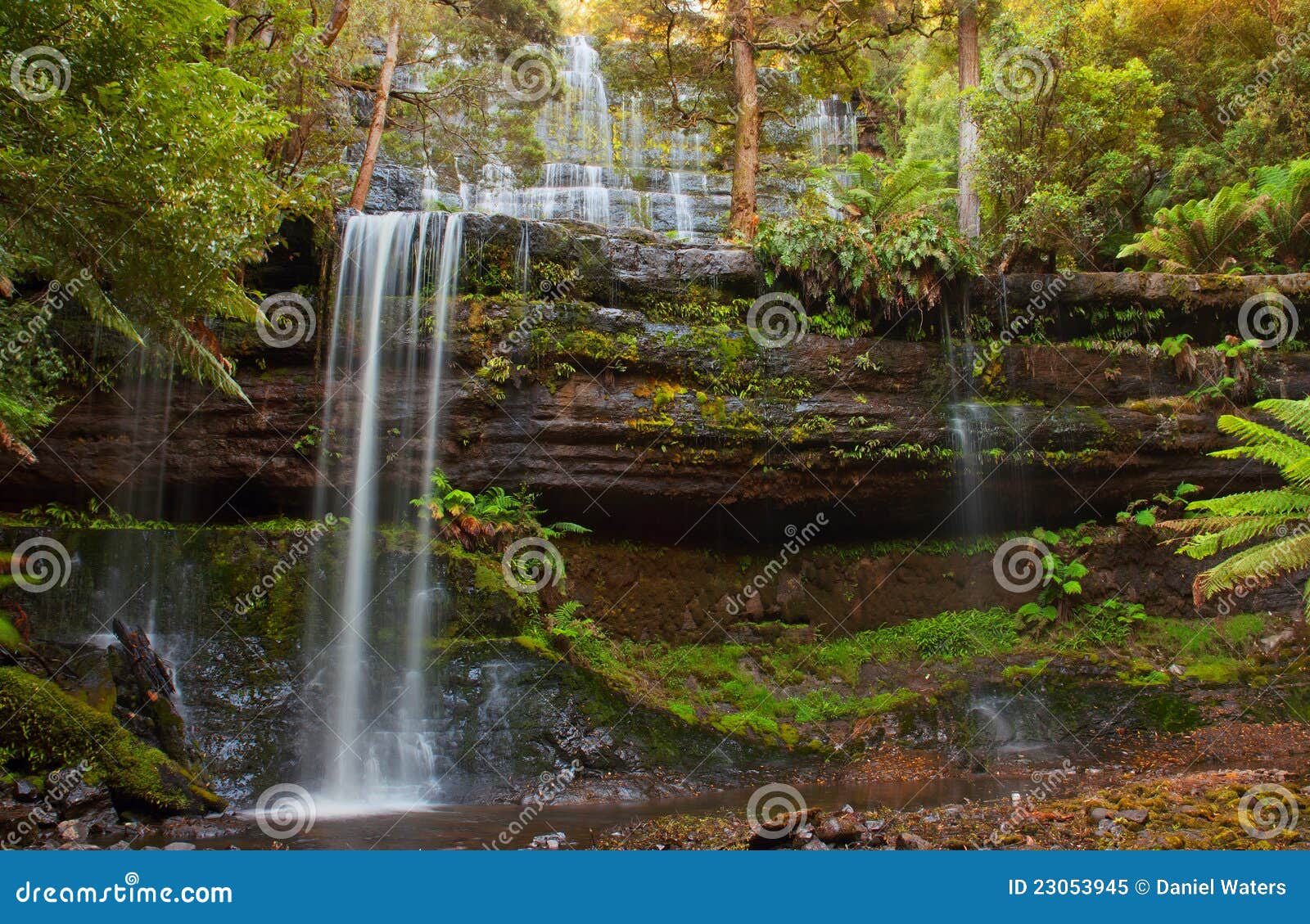 Russell Falls Tasmania stock image. Image of stream, creak - 23053945