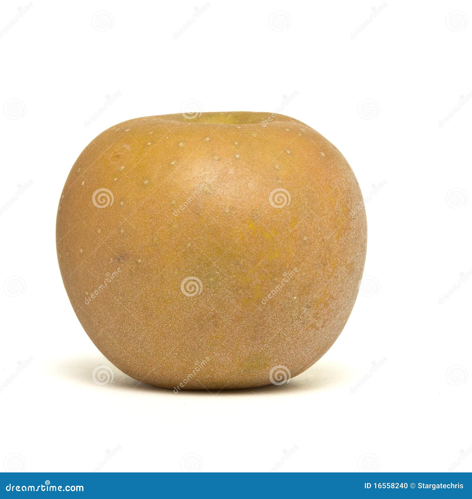 Russet Apple stock photo. Image of juicy, russet, food - 16558240