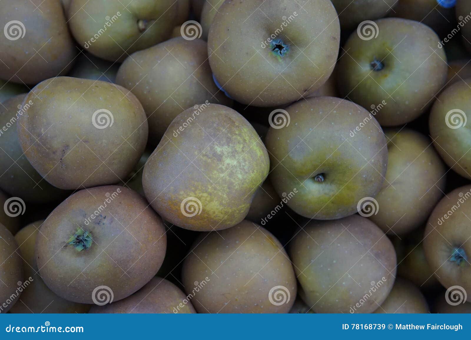 Russet Apples stock image. Image of fruit, market, pommes - 78168739