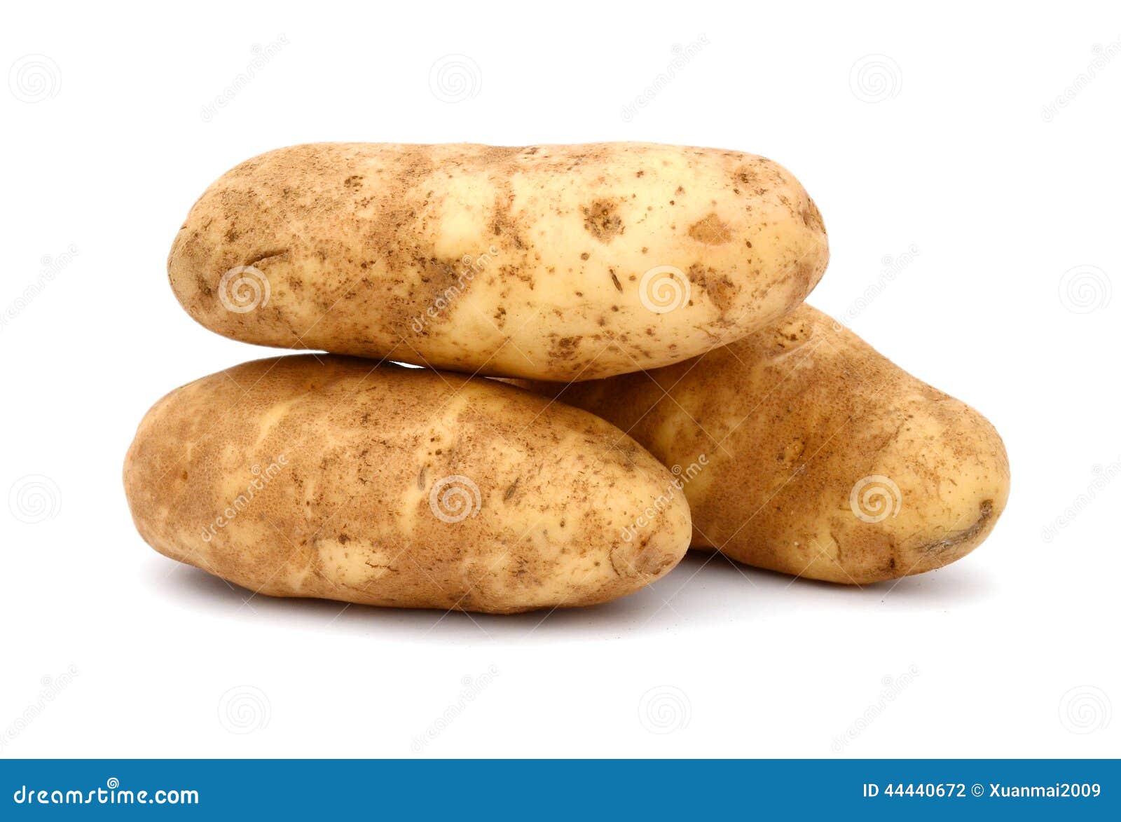 Russet potato stock photo. Image of ediable, root, isolated - 44440672
