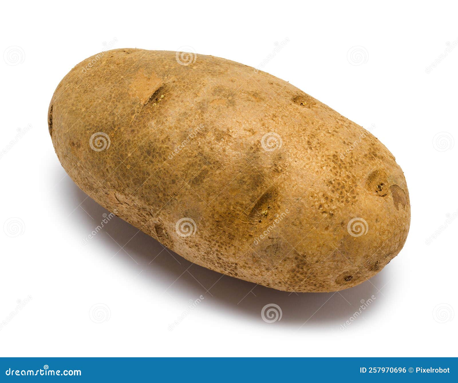 Russet Potato stock photo. Image of food, vegetable - 257970696