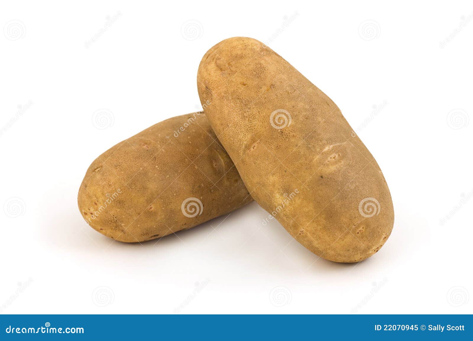 Russet potatoes stock image. Image of staple, baker, tuber - 22070945