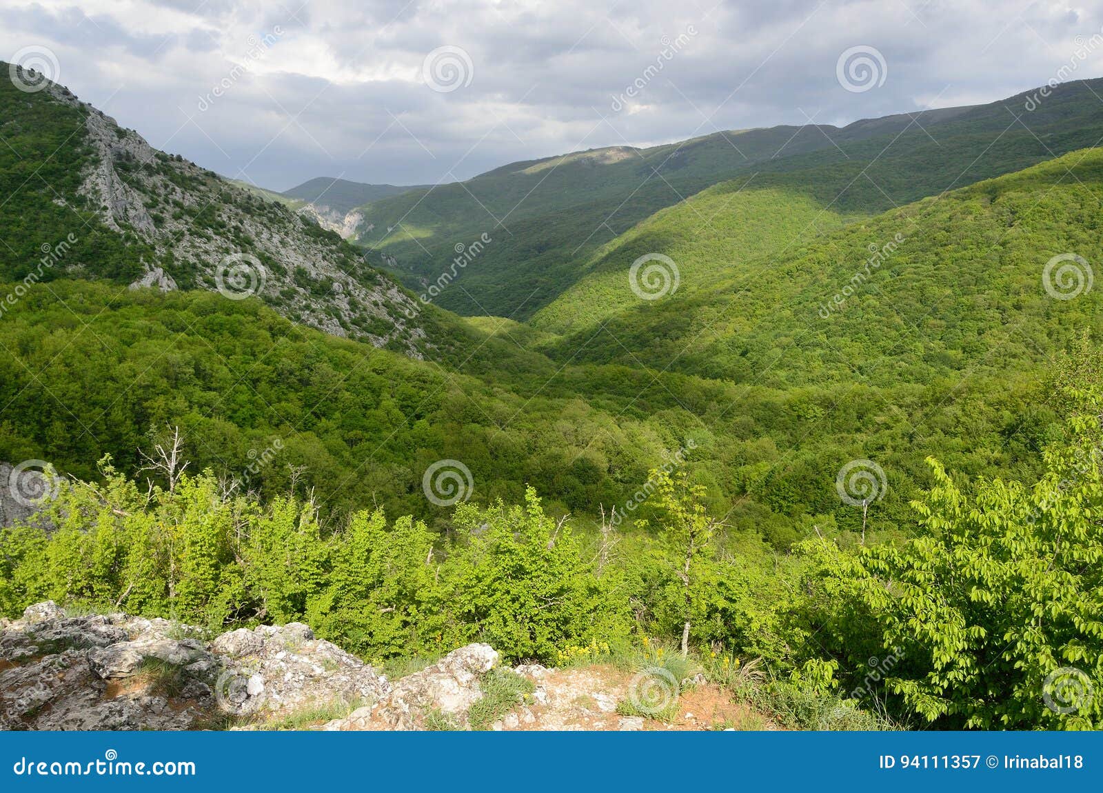 Russia, the Crimean Forest in Spring on the Slope of Mangup Mount Stock ...