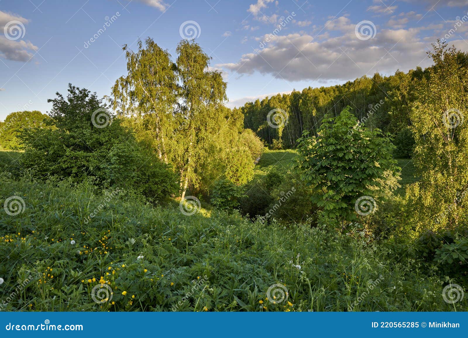 Russia. Moscow. Floodplain of the Konkovsky Brook Crossing the ...