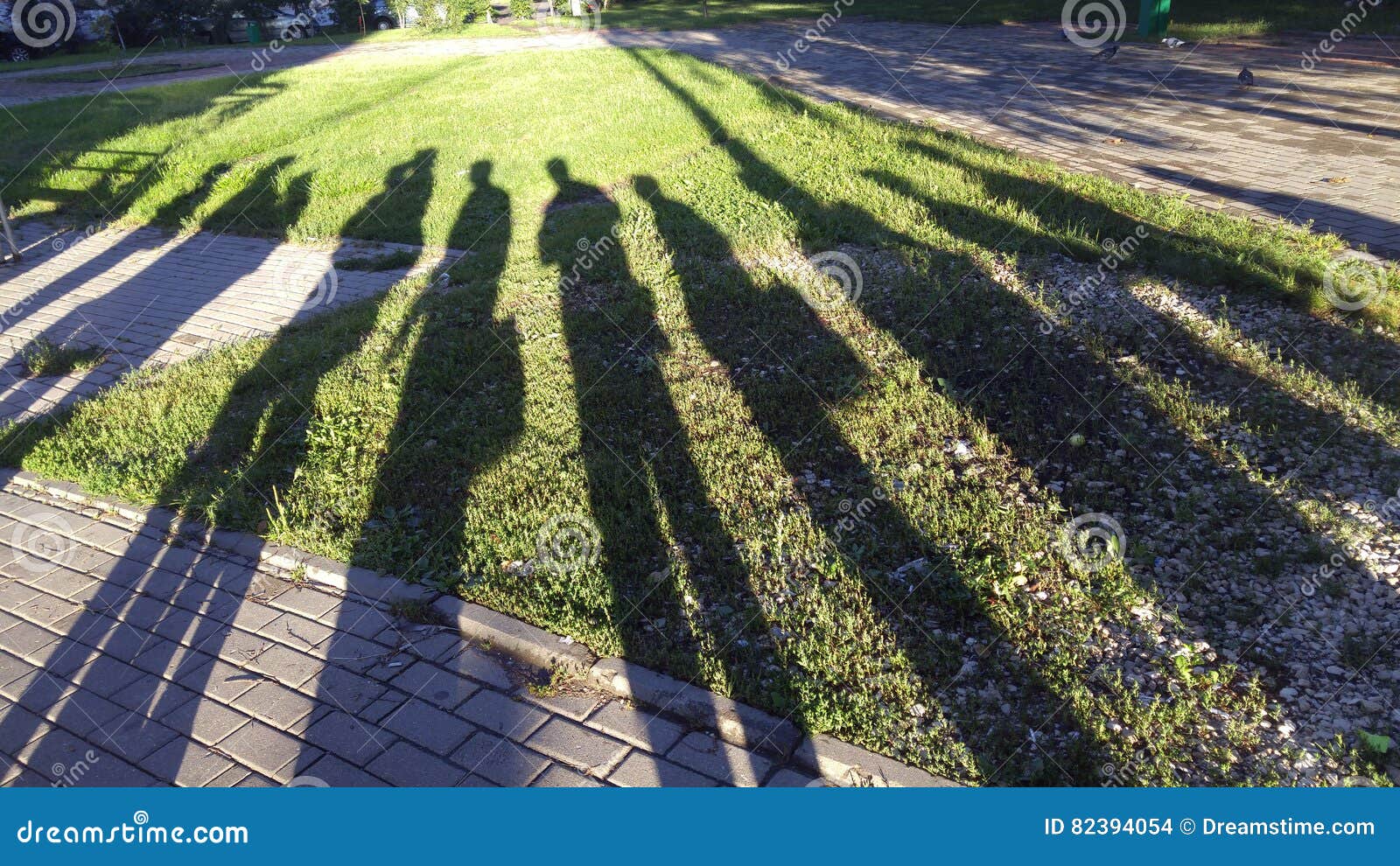 Russia - People Shadows on Grass Stock Photo - Image of early, shadows ...