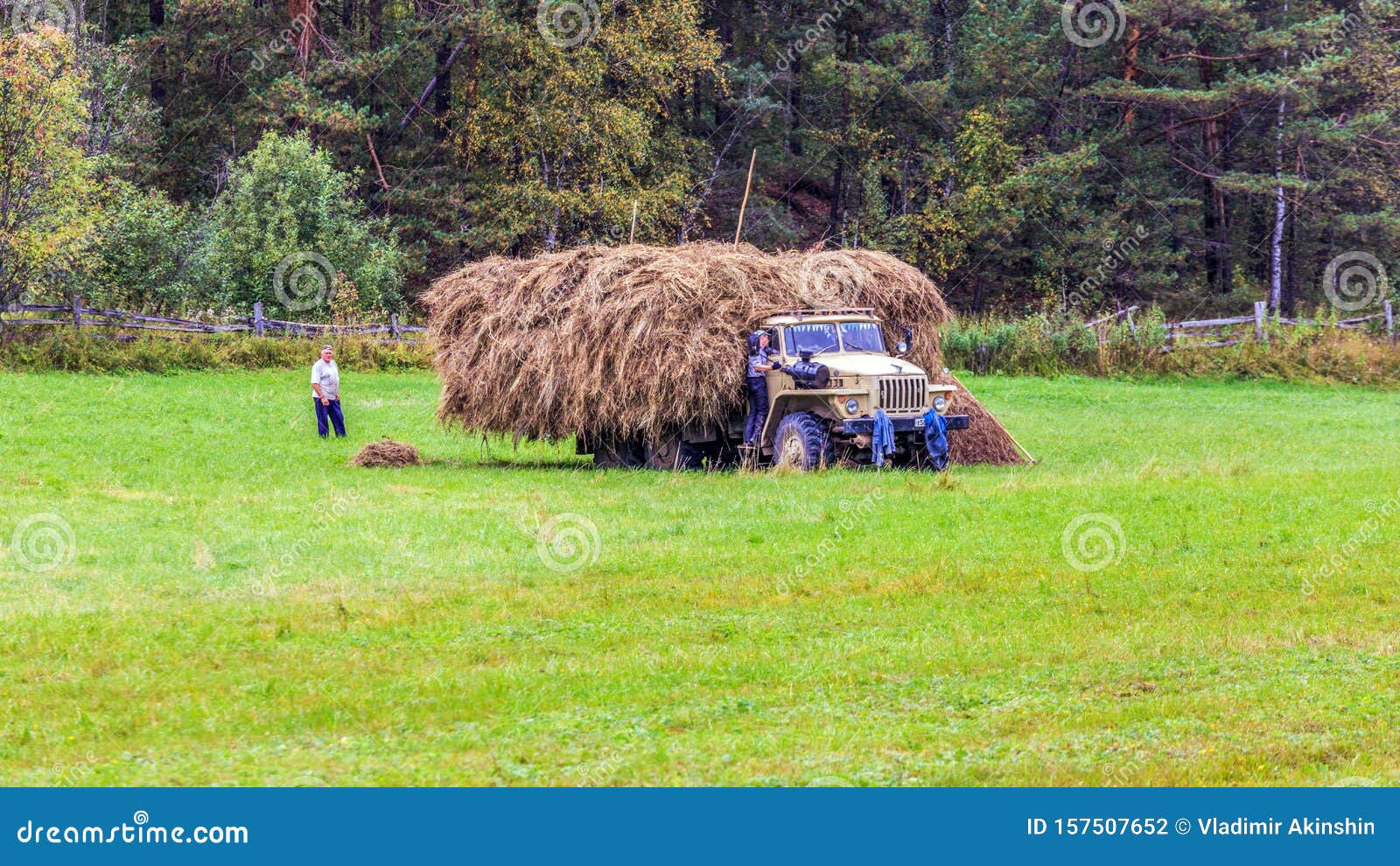 The Mowers Load the Hay into a Large Lorry Editorial Photography ...