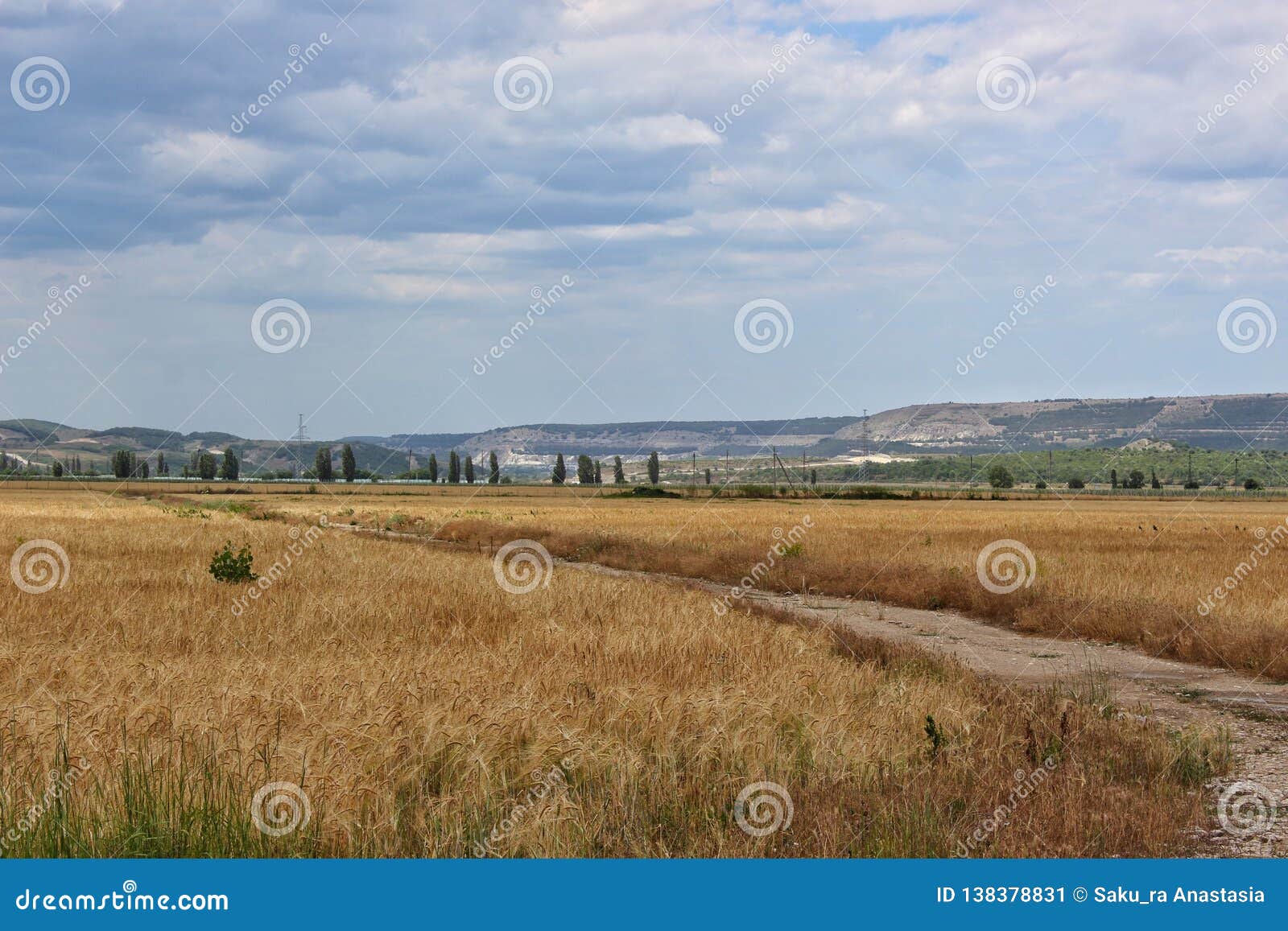 In these sandy fields stock image. Image of fields, field - 138378831
