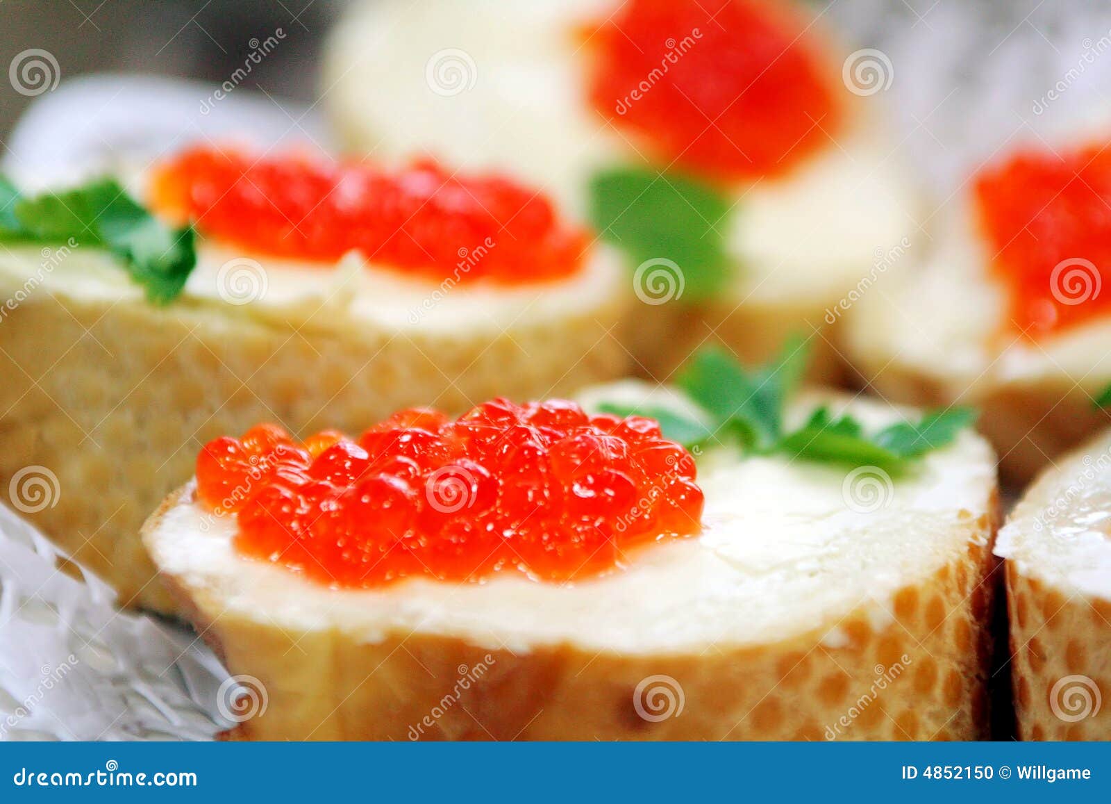 Russian appetizer stock photo. Image of greens, close - 4852150