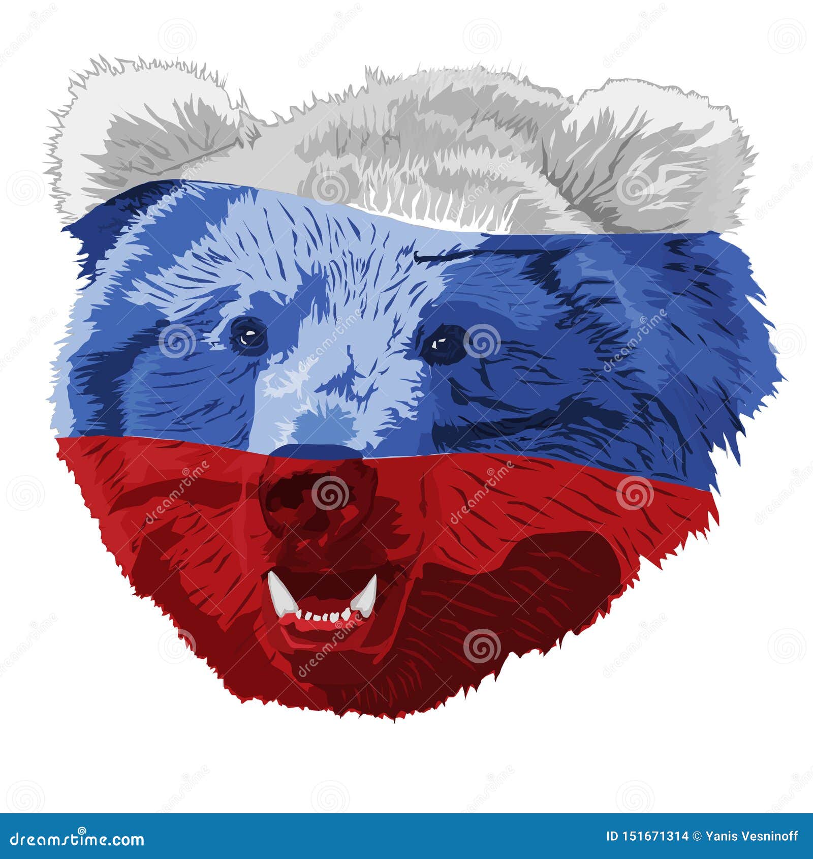 The Russian Bear Colored in a Tricolor Stock Illustration ...