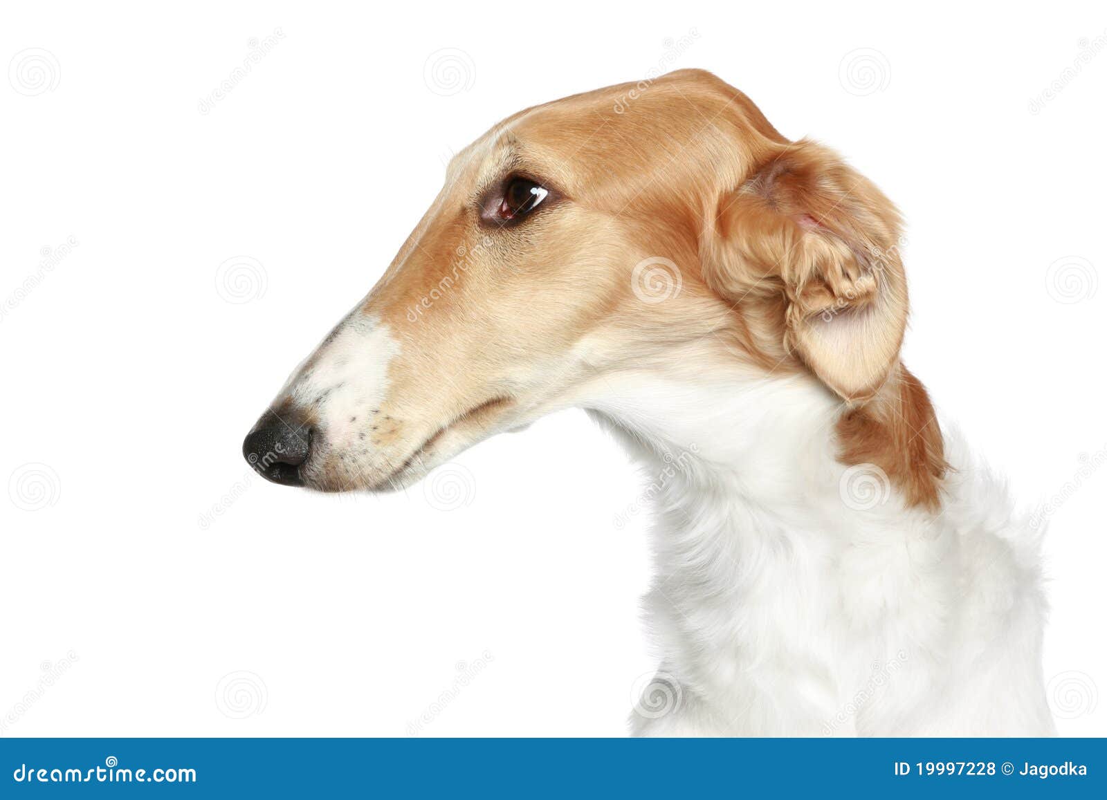 I'll draw ur OC or headcanon character : r/FanFiction