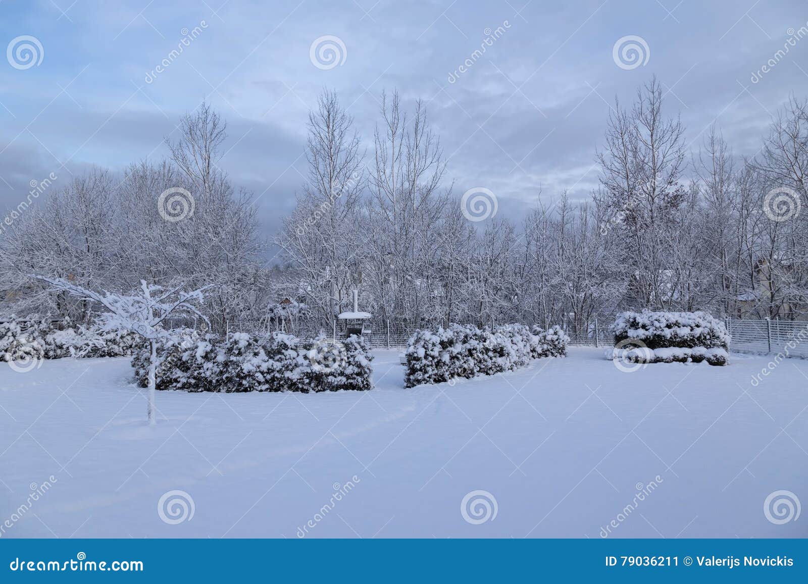 Russian Cold Winter First Snow Stock Image - Image of russian, park ...