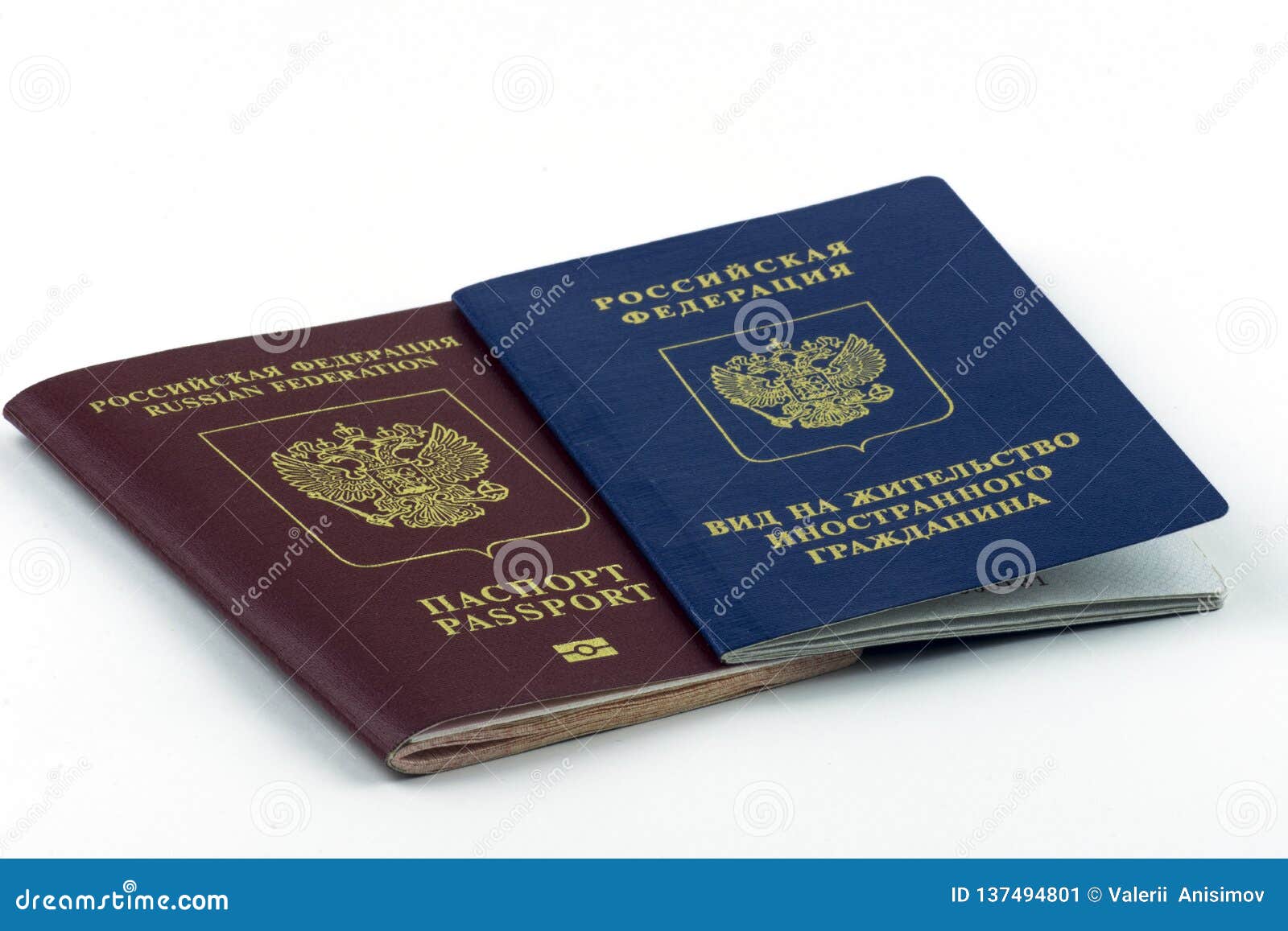 Russian Documents. Residence Permit and Russian Passport on White ...