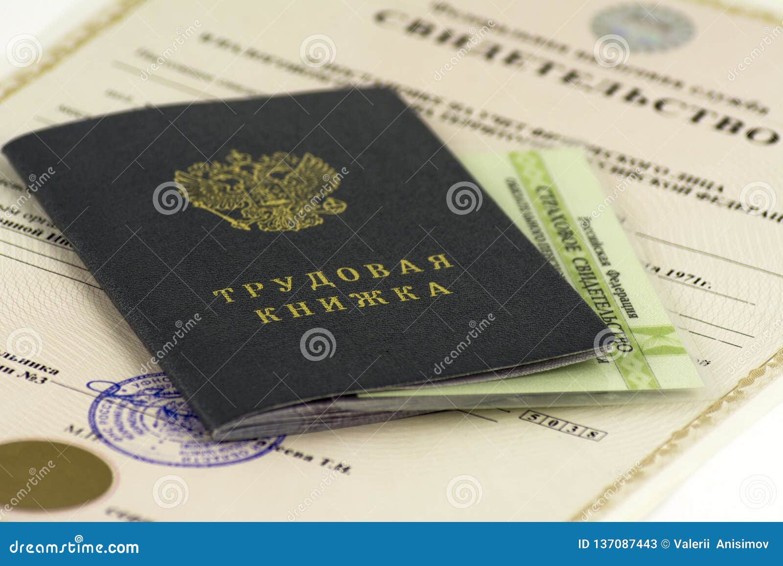 Russian Documents. Work Book,employment Record, a Document To Record ...