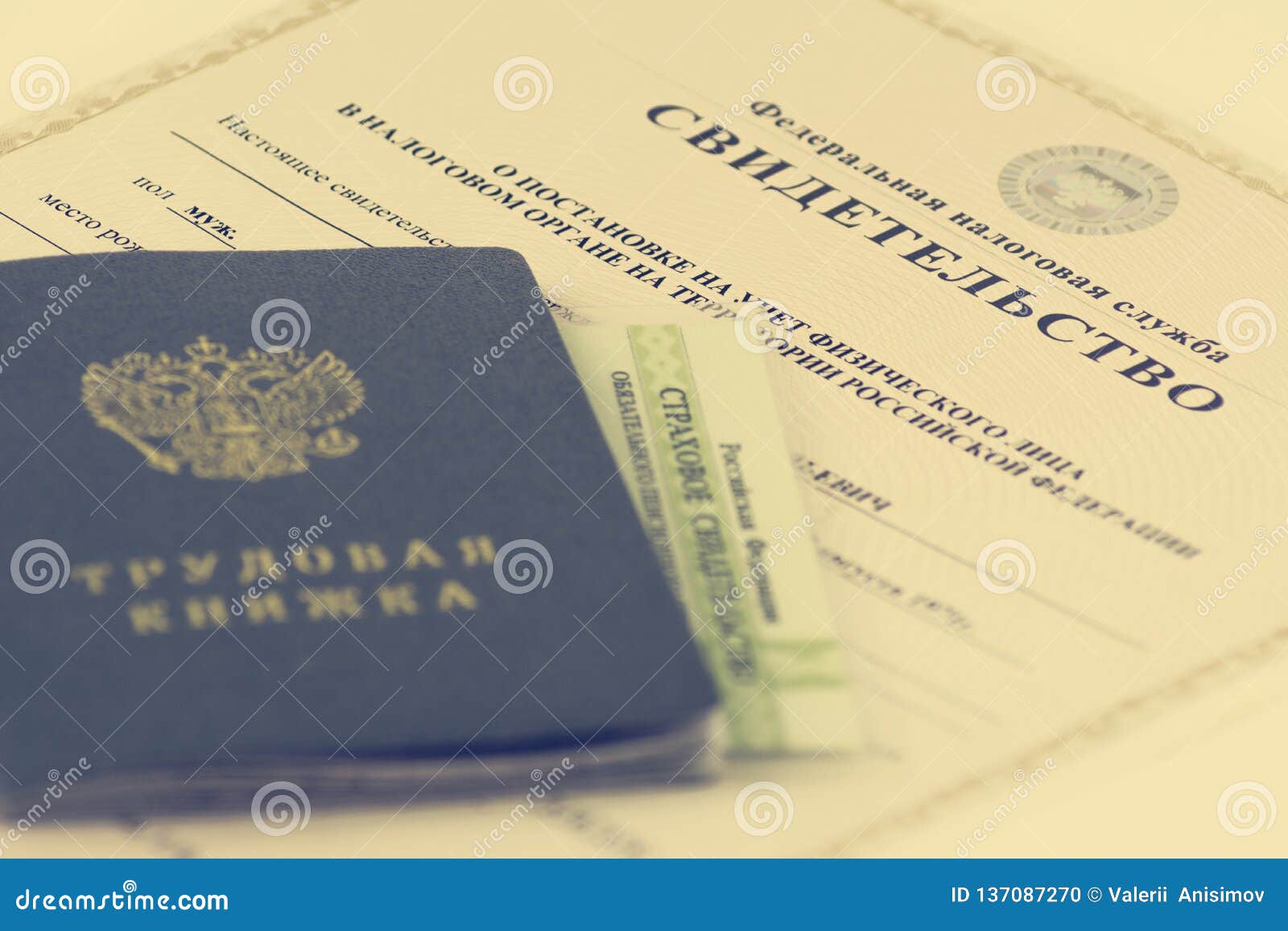 Russian Documents. Work Book, Employment Record, a Document To Record ...