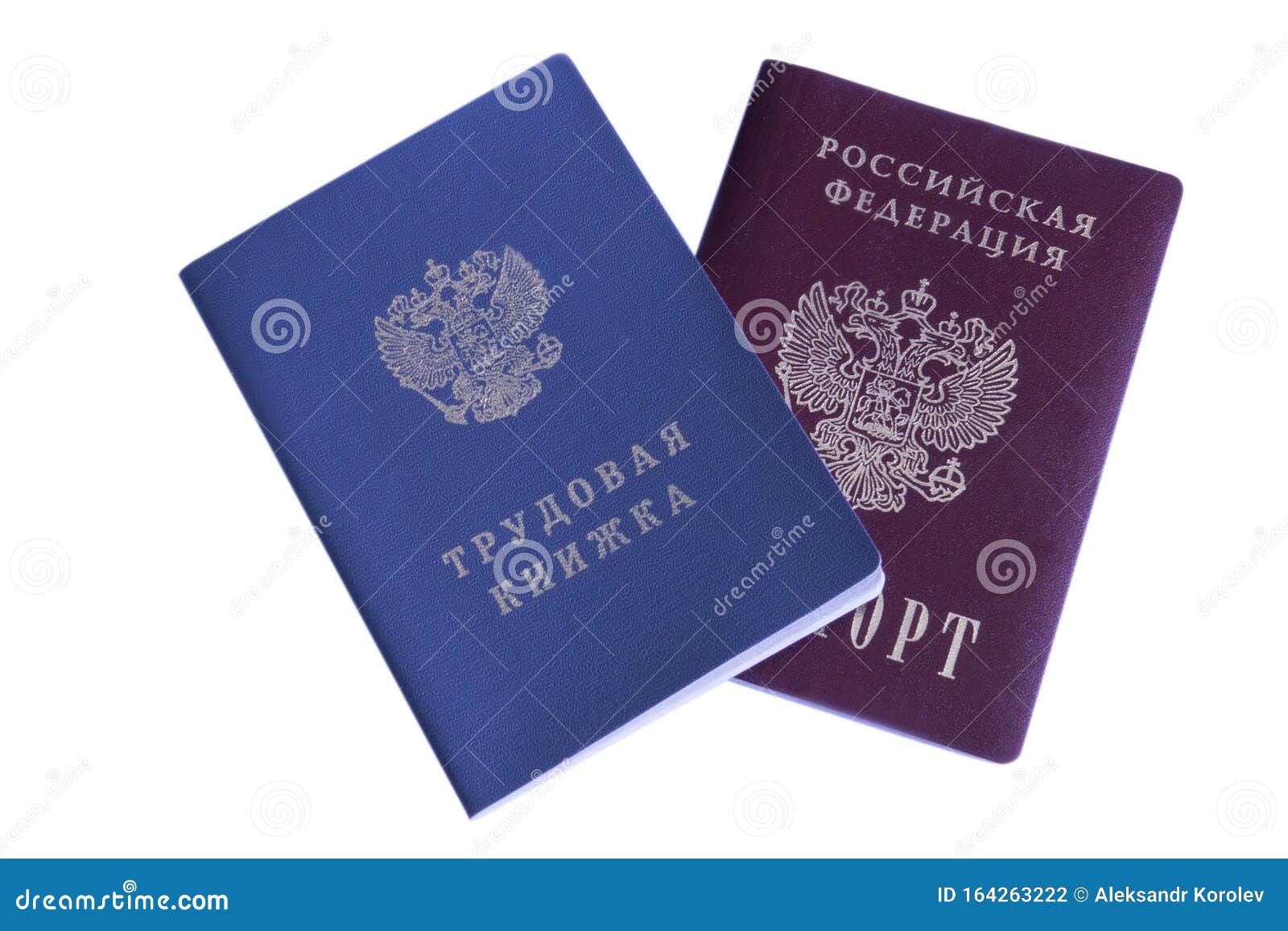 Russian Documents. Work Book,employment Record, a Document To Record ...