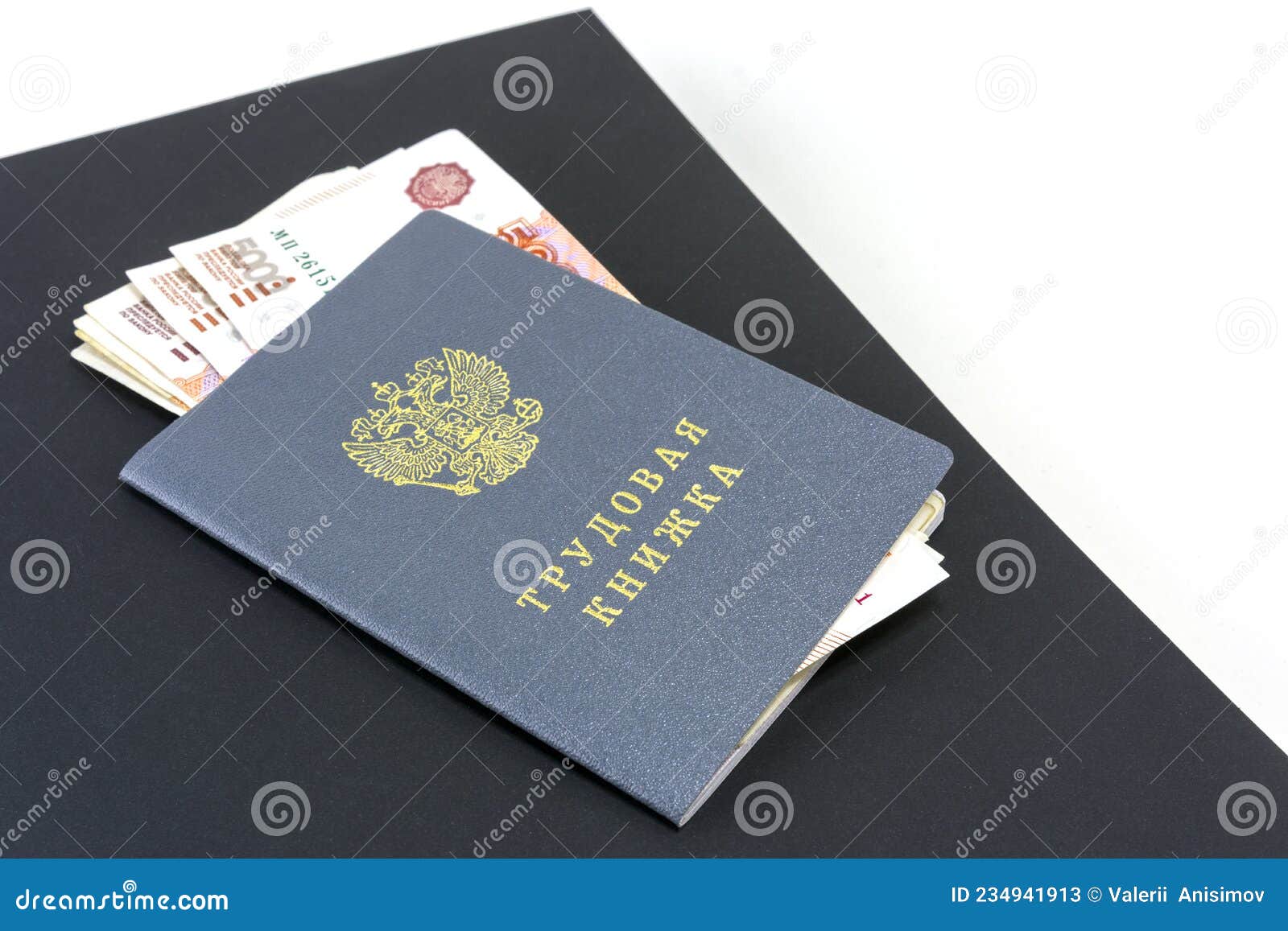 Russian Documents. Work Book, Employment Record, a Document To Record ...