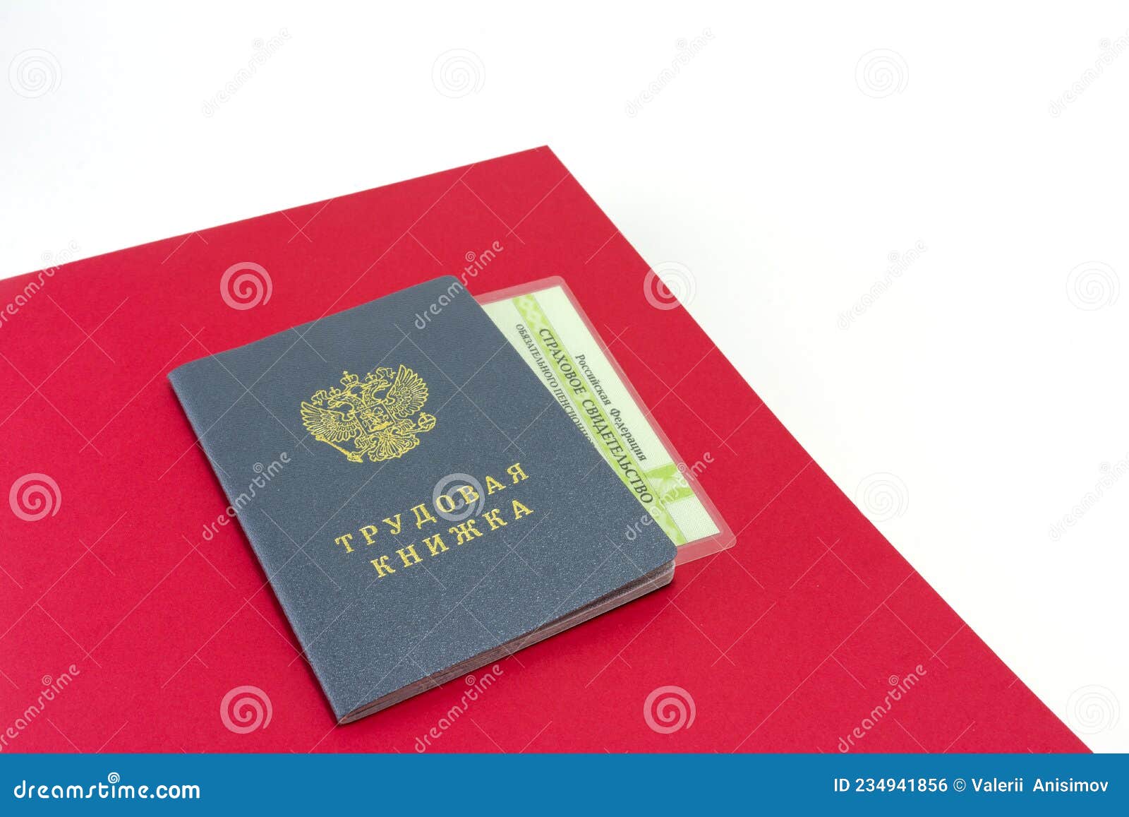 Russian Documents. Work Book,employment Record, A Document To Record ...