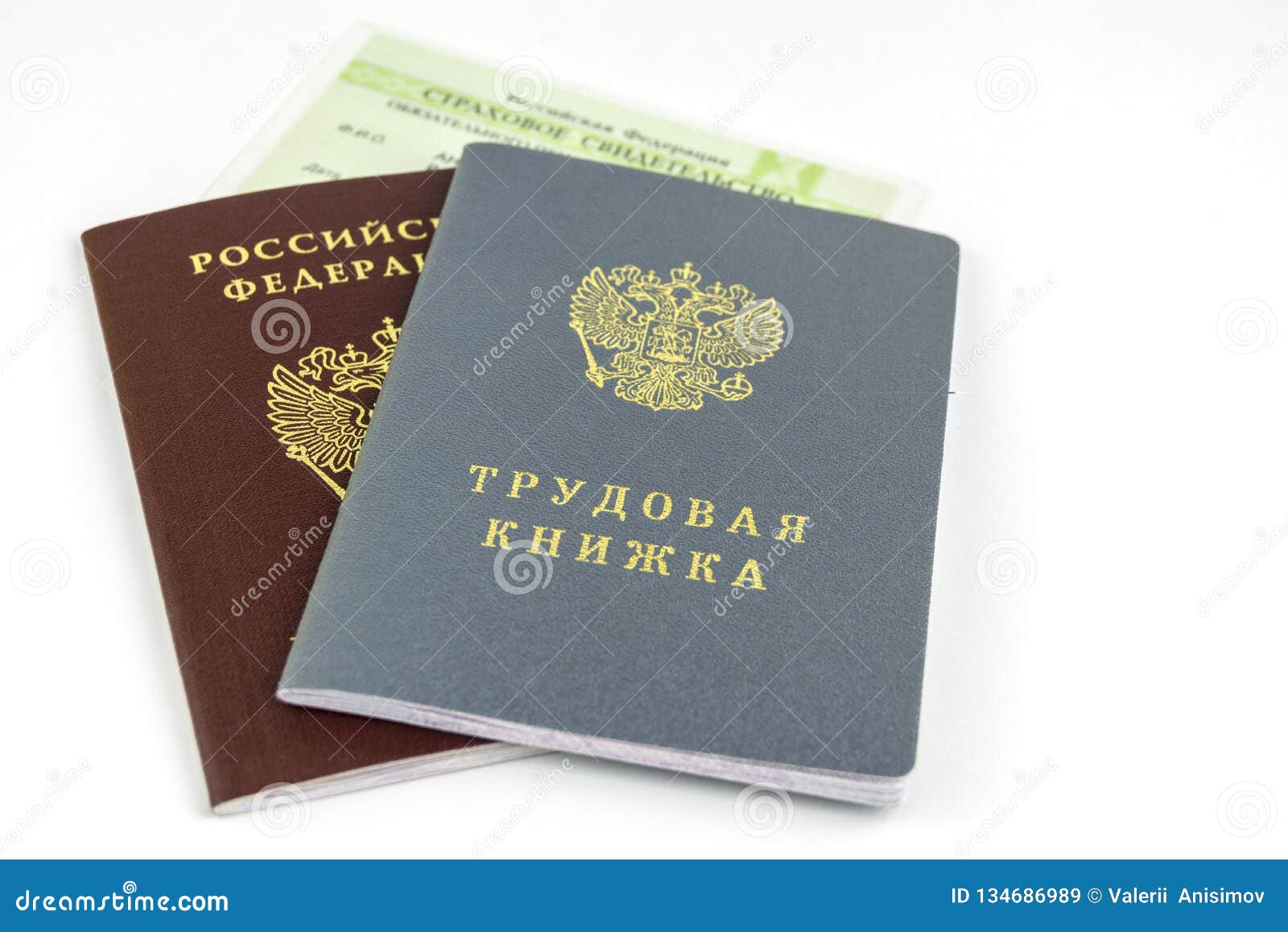 Russian Documents. Work Book, Employment Record, A Document To Record ...