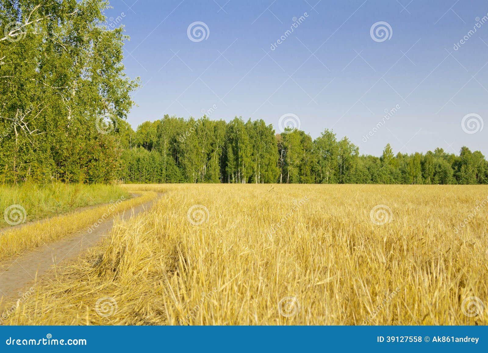 Russian field stock photo. Image of spring, landscape - 39127558